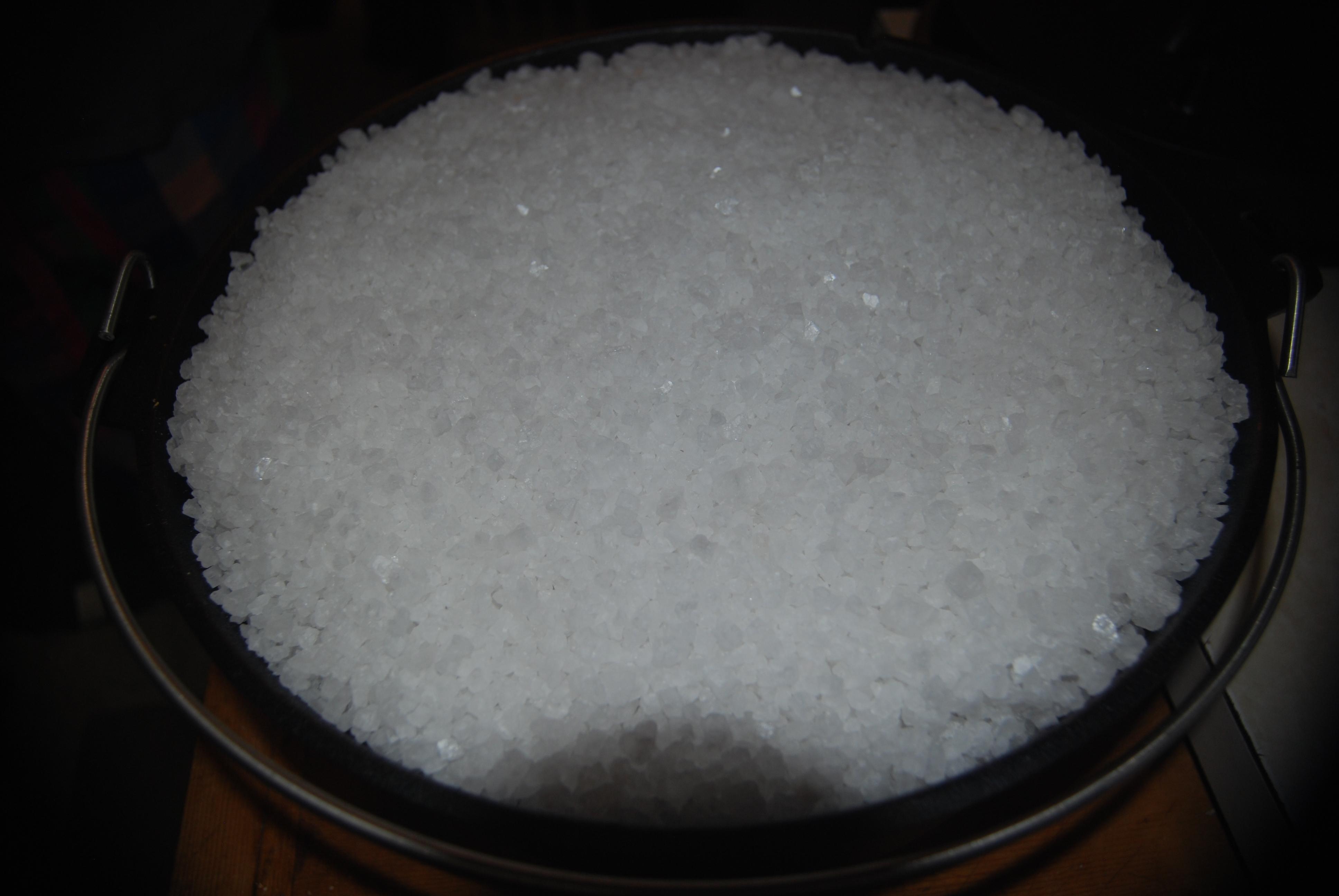 Rock Salt Roasted Prime Rib Roast in a Camp Dutch Oven : 5 Steps (with ...