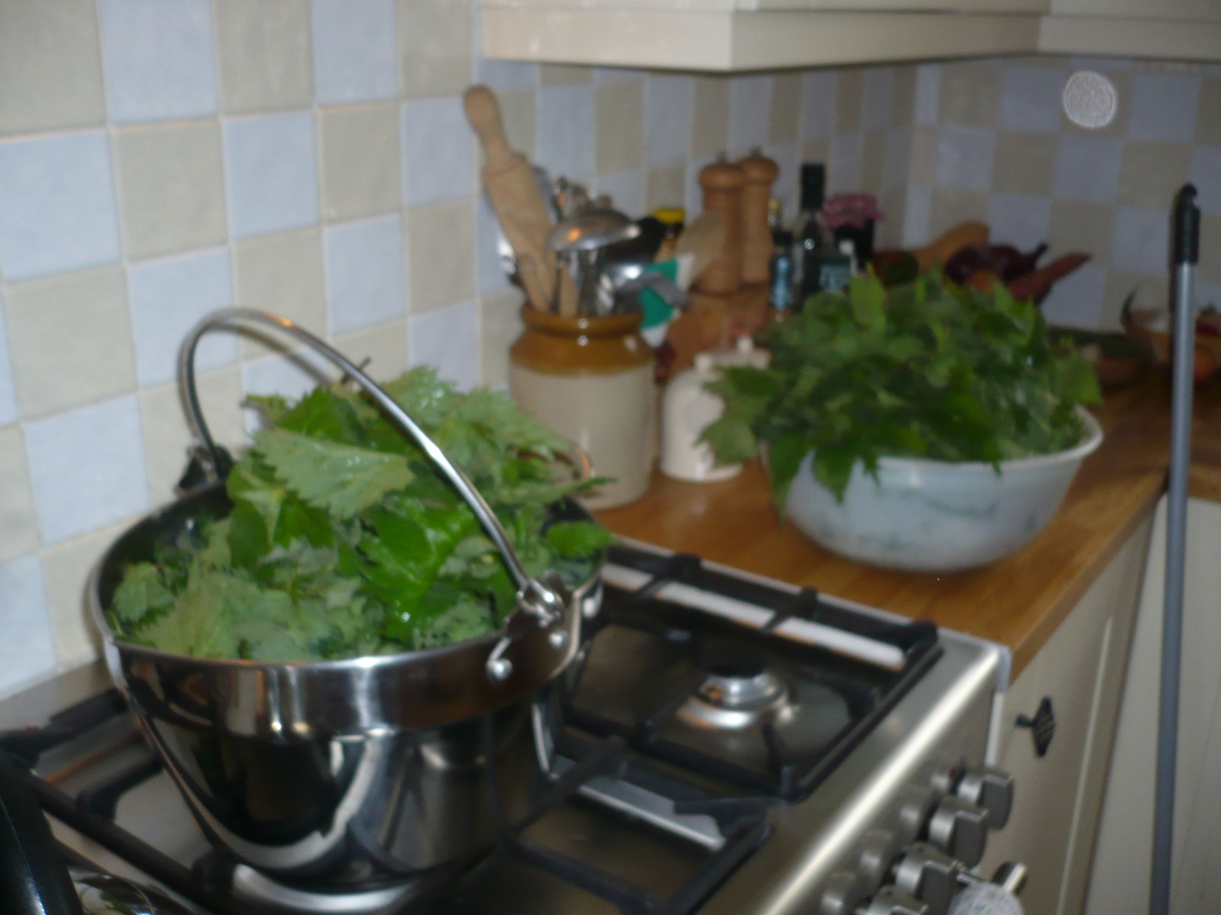 British - Stinging Nettle Beer : 8 Steps (with Pictures) - Instructables