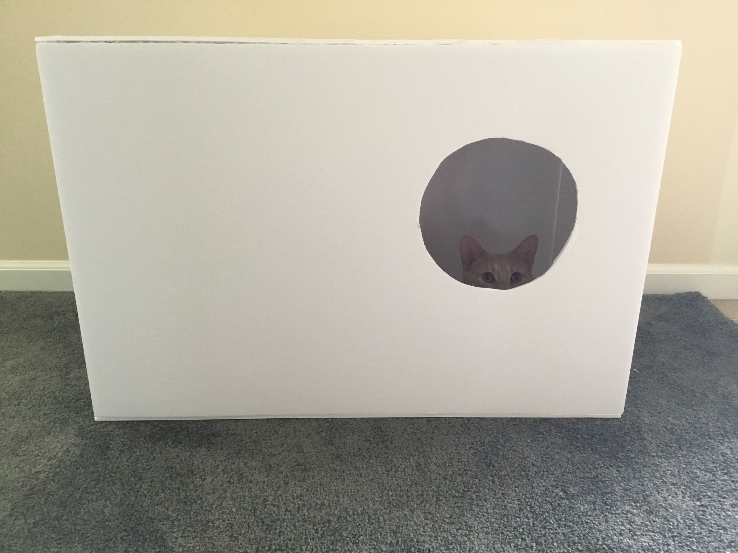 DIY Custom LED Cat Crib : 4 Steps - Instructables