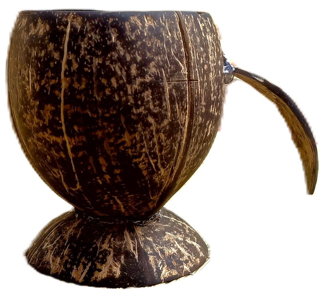 How to Recycle Discarded Coconut Shells : 7 Steps - Instructables