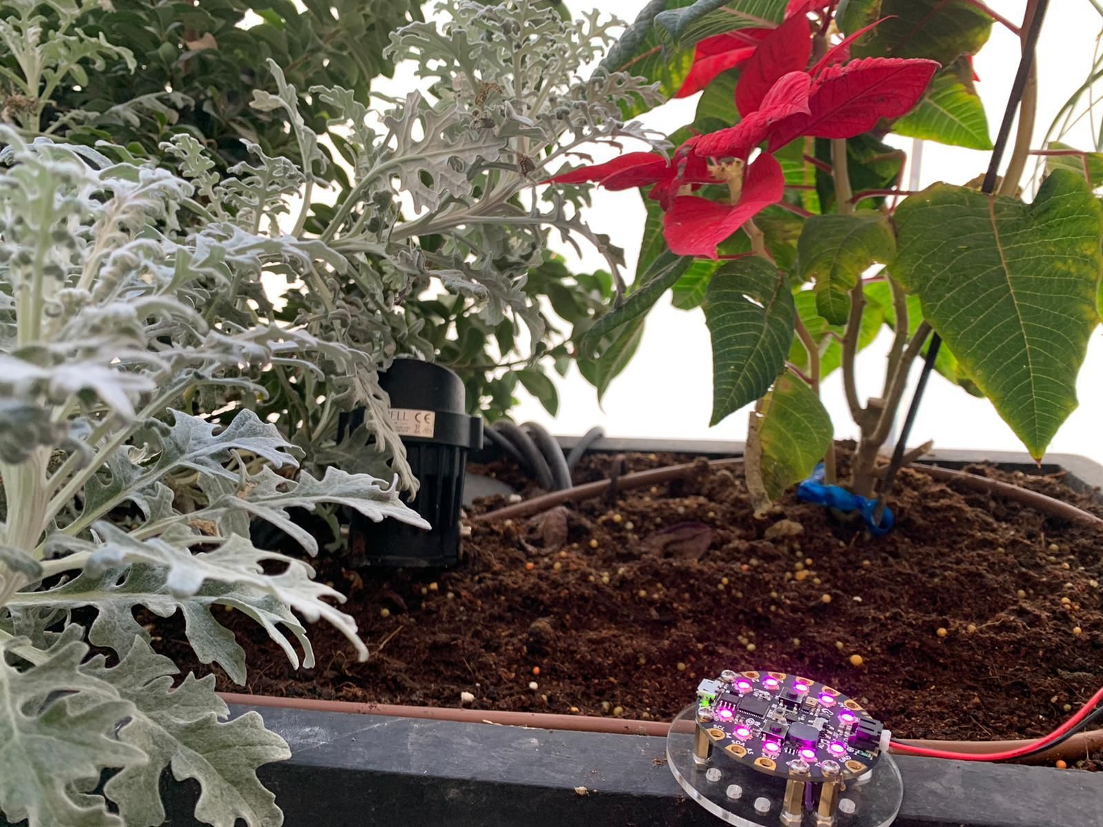Smart Plant Sensor : 7 Steps - Instructables