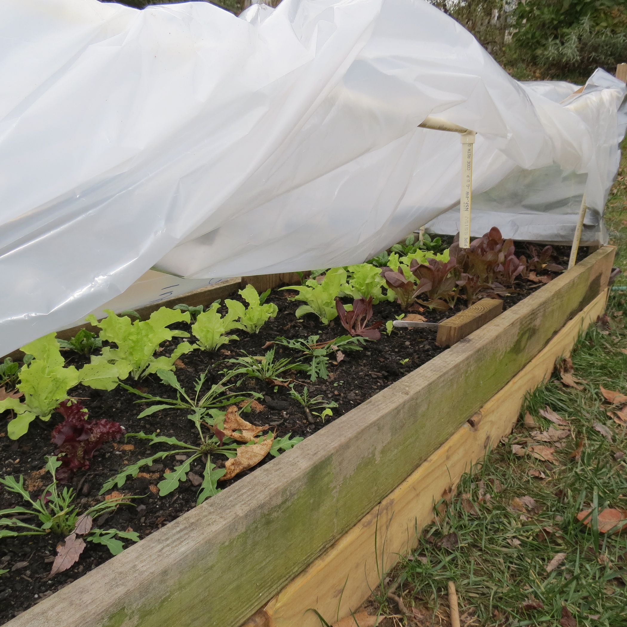 How to Build a Collapsible PVC Garden Raised Bed Greenhouse - Instructables