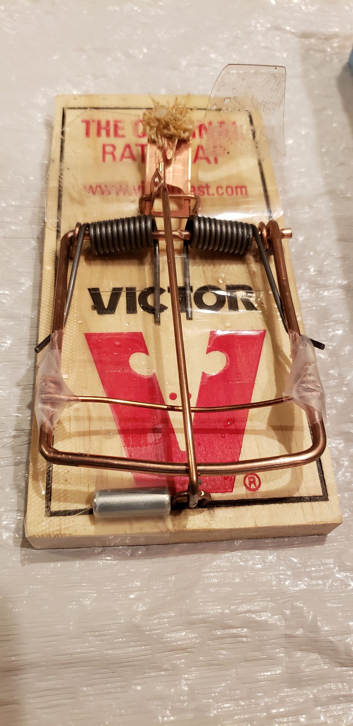 Wireless Mouse Trap - Instructables