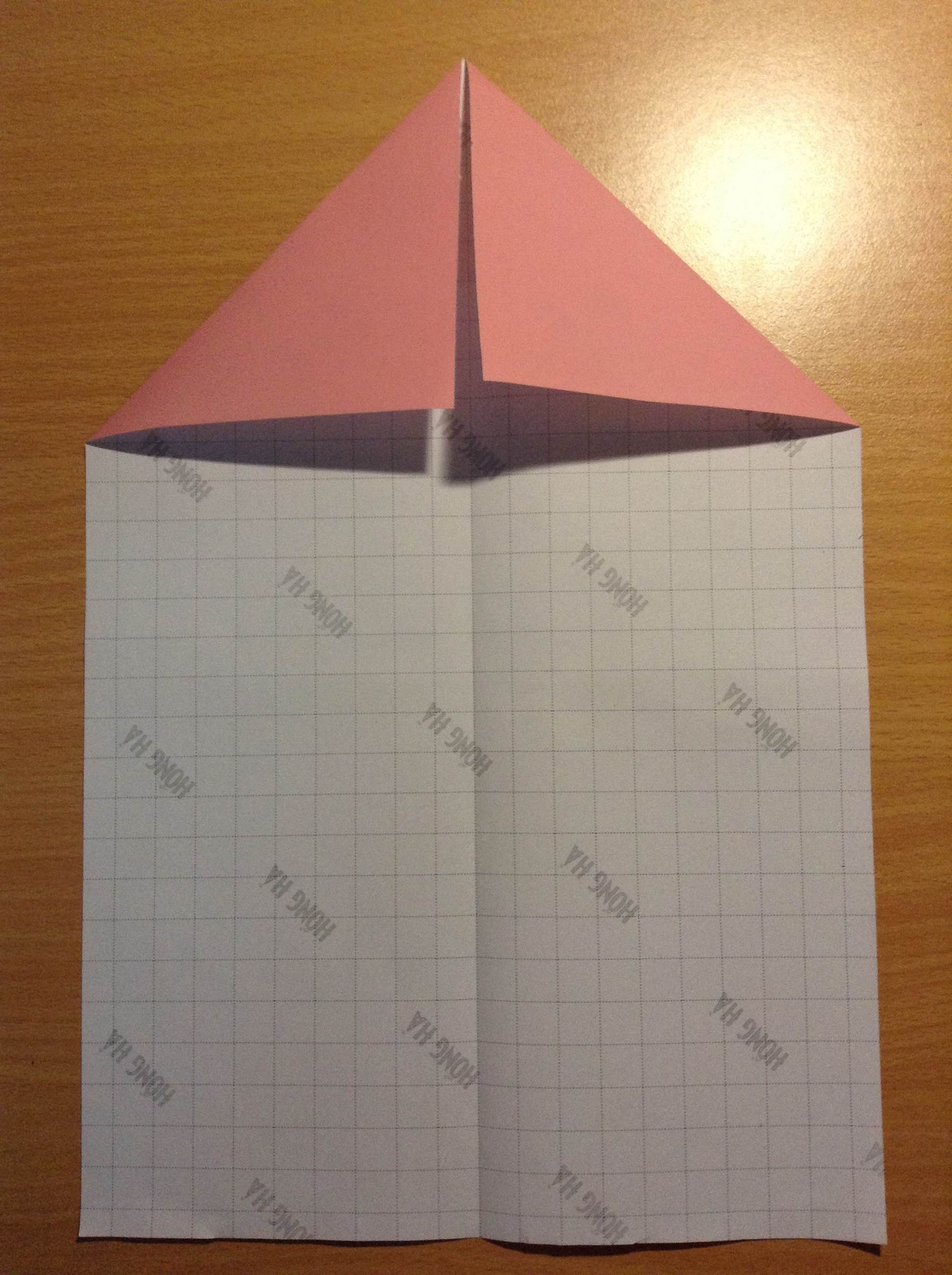 How to Make a Canard Paper Airplane : 11 Steps - Instructables