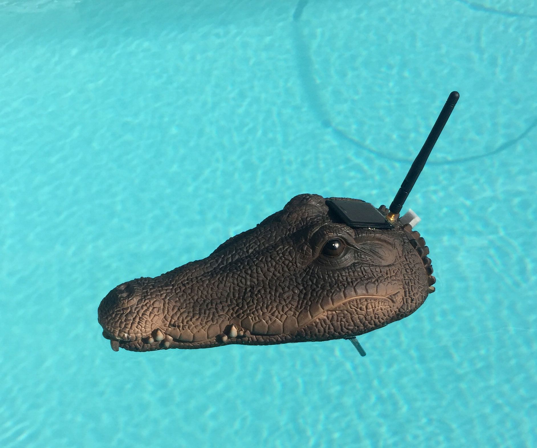 Crocodile Solar Pool Sensor : 7 Steps (with Pictures) - Instructables