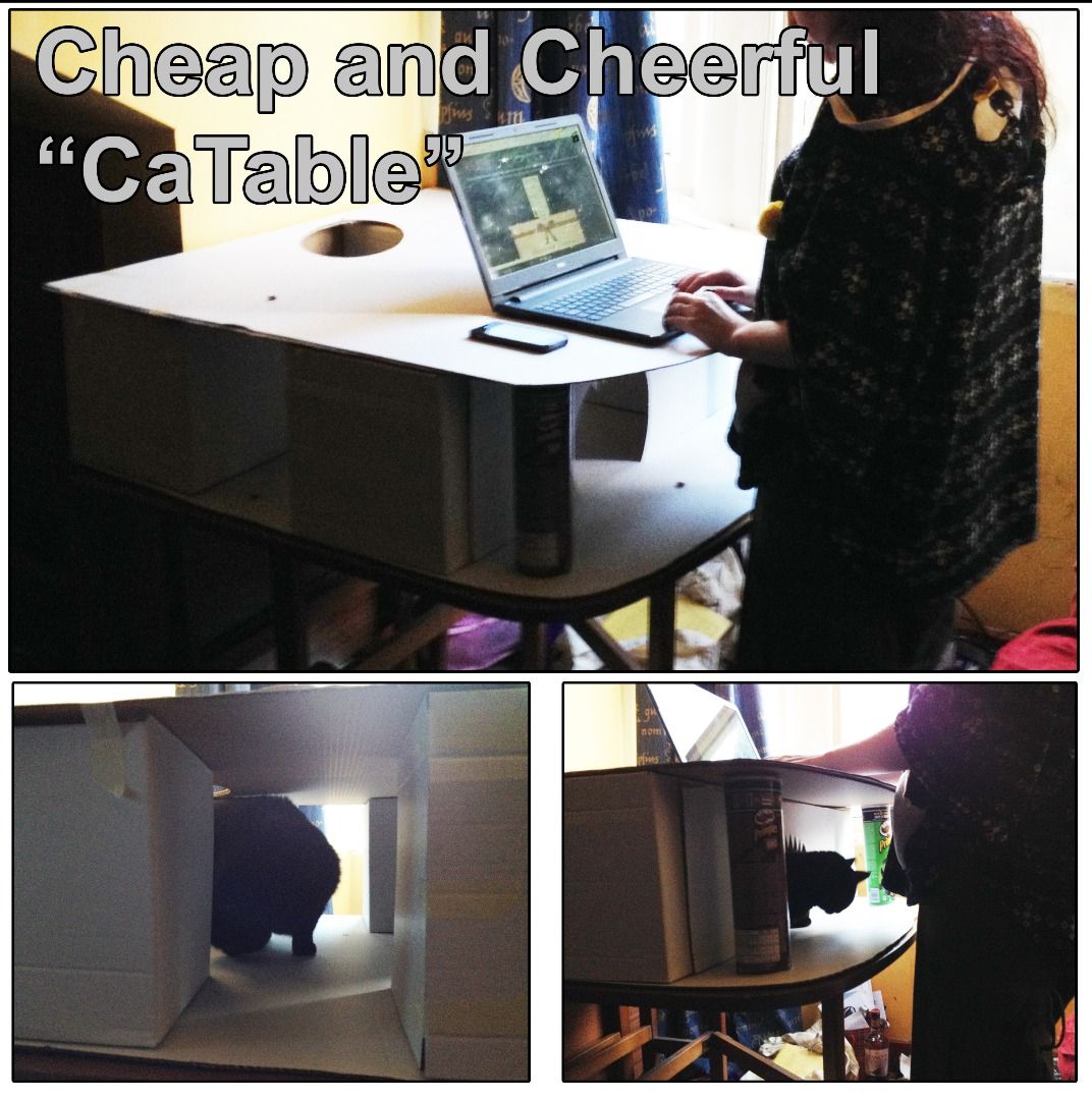 Cheap and Cheerful "CaTable" : 6 Steps (with Pictures) - Instructables