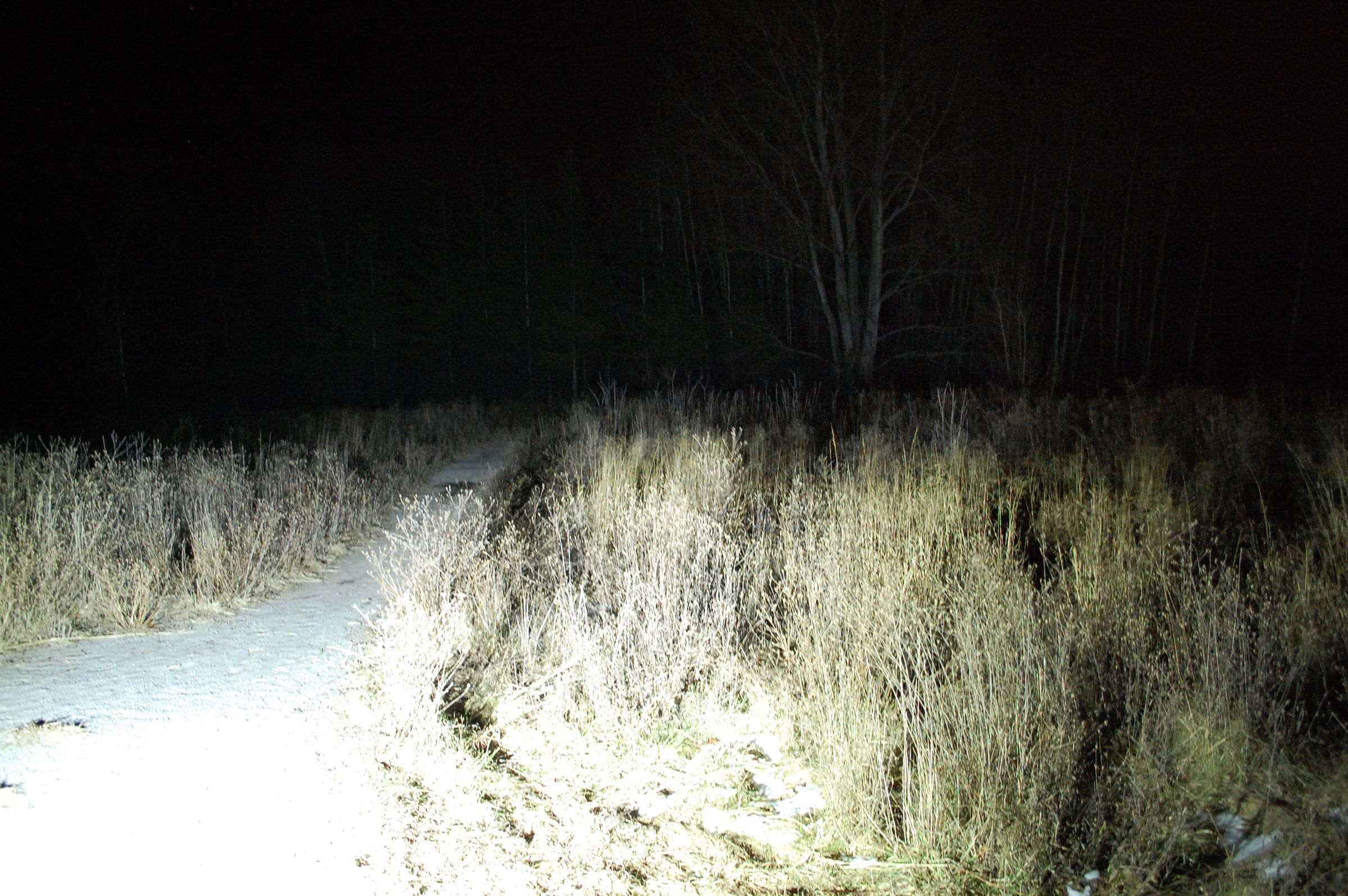 How to Build an Insanely Bright LED Flashlight! : 8 Steps (with ...