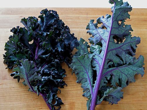 How to Chop Kale : 5 Steps (with Pictures) - Instructables