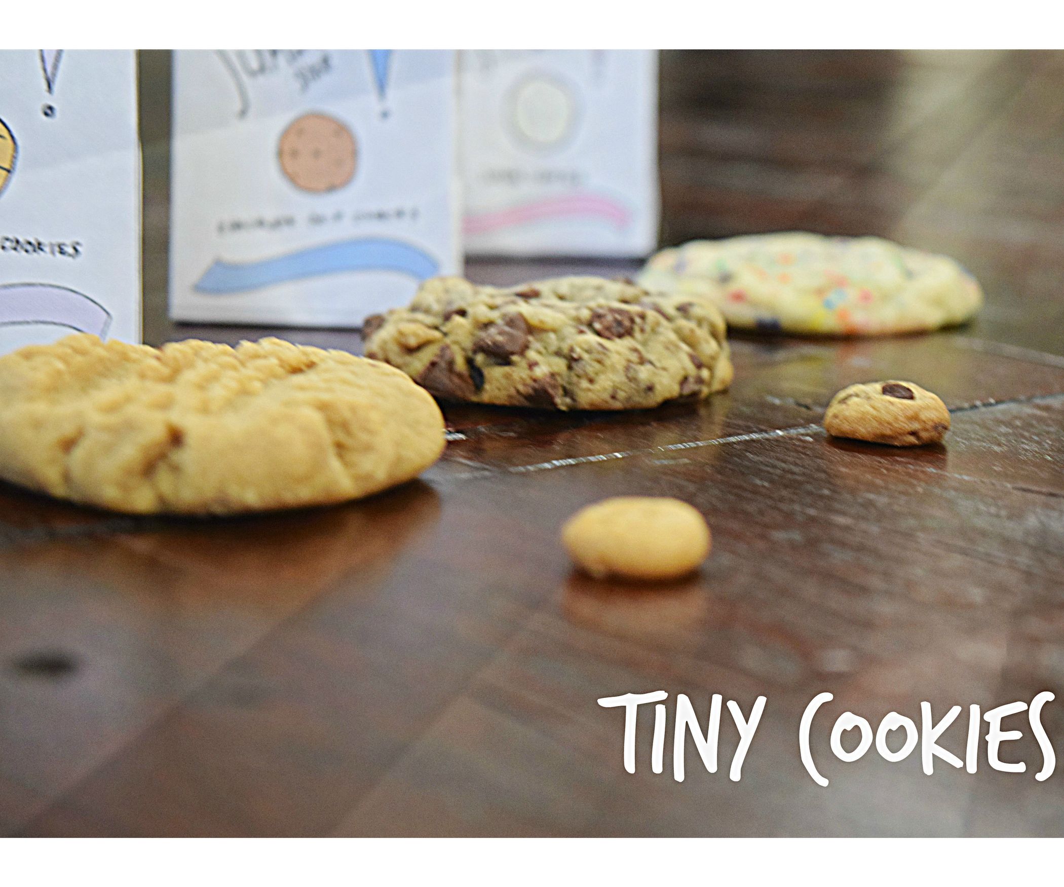 The Sweetest (and Cutest) Gift to Give: Tiny Cookies : 6 Steps (with ...