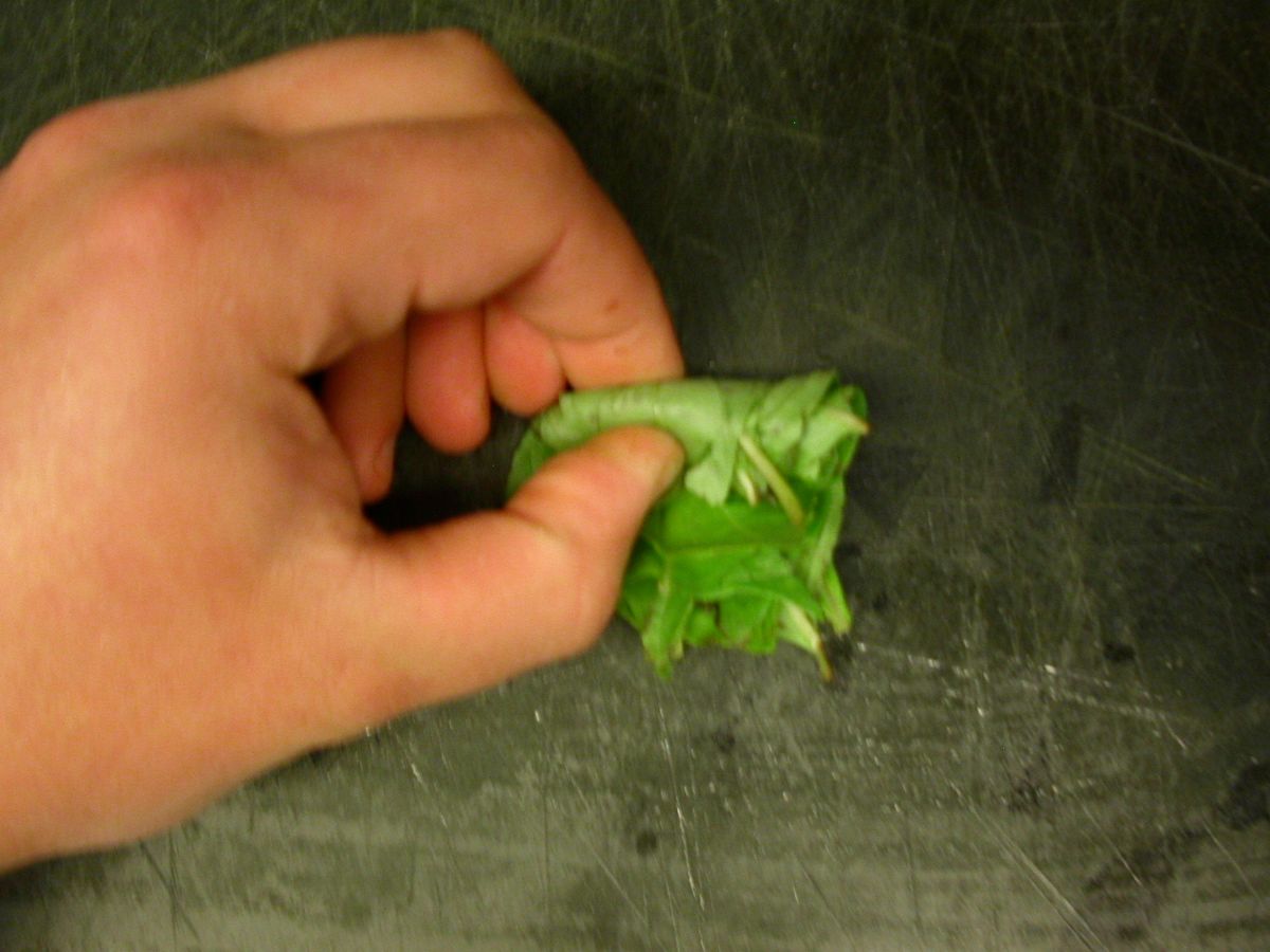 How to Chiffonade : 4 Steps - Instructables