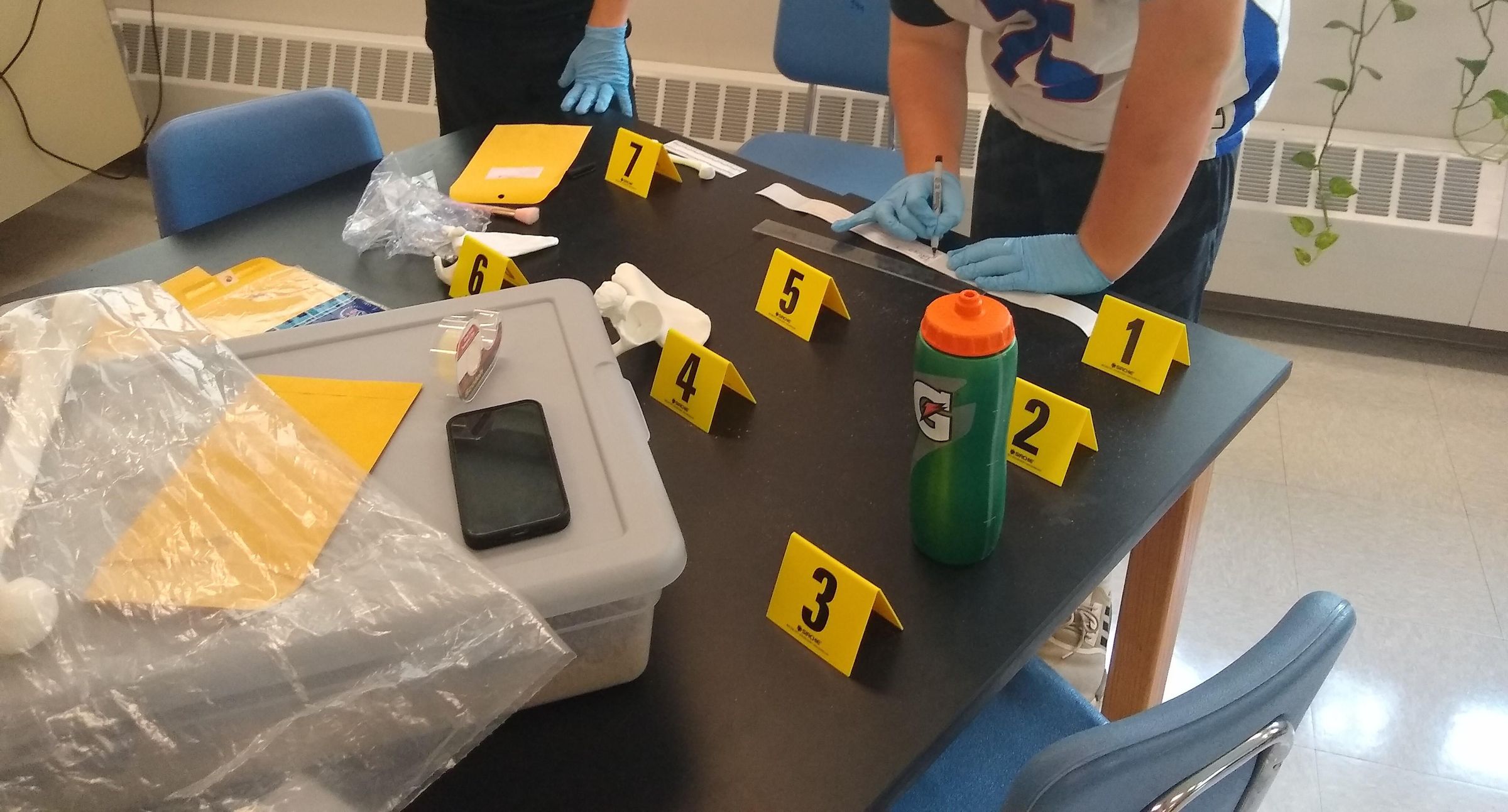 Forensic Anthropology With 3D Printed Bones : 8 Steps (with Pictures ...