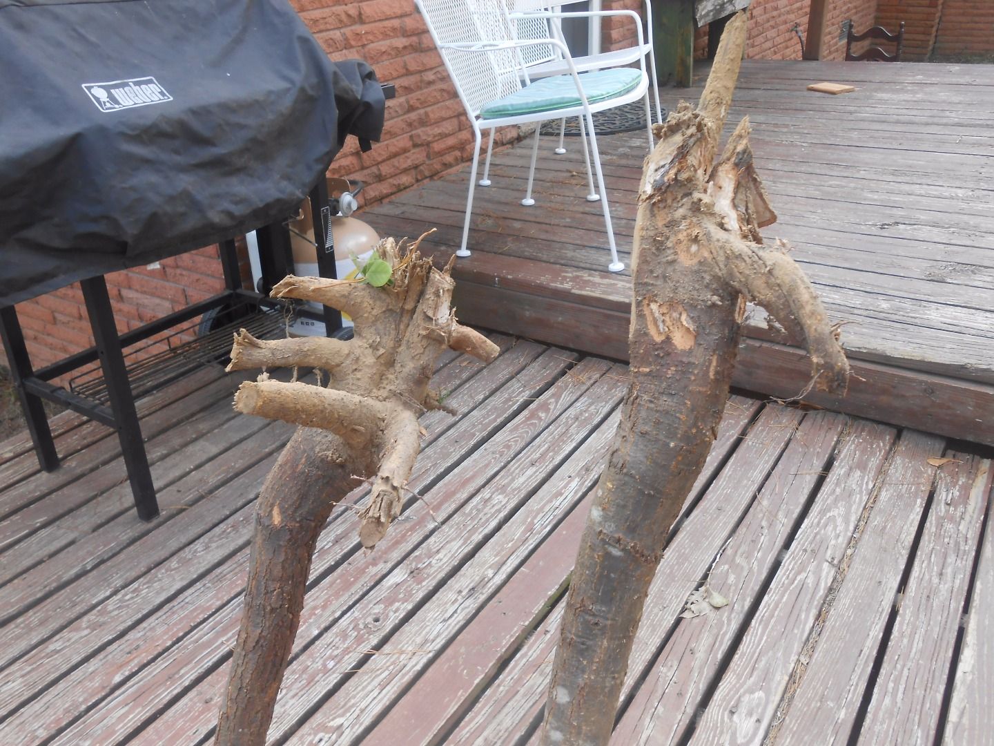 Make a REAL Wizard Staff : 11 Steps (with Pictures) - Instructables