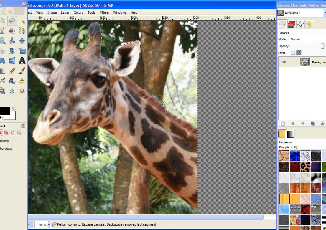 How to Morph Animals Using GIMP (free Software) : 5 Steps - Instructables