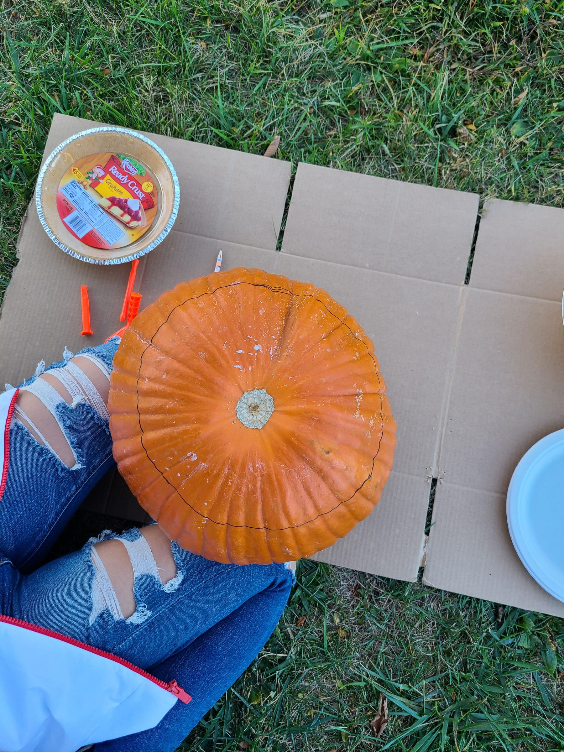 Delicious Pumpkin Pie With Decorative Pumpkin Platter Cover : 22 Steps ...