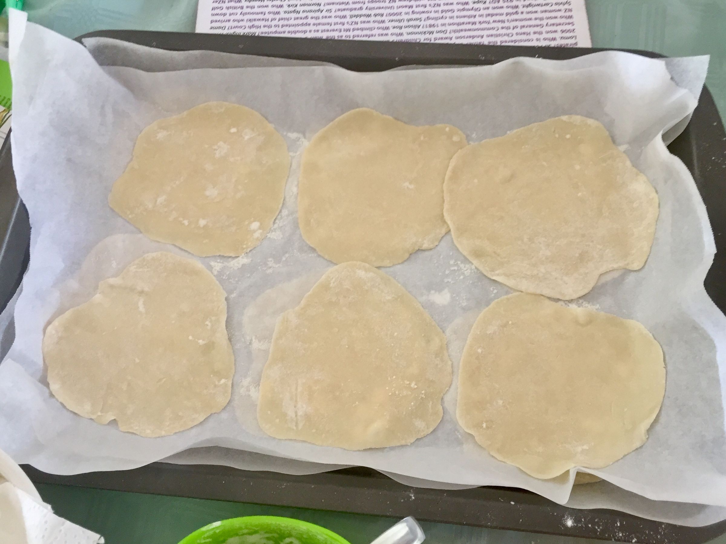Crispy Pork Dumplings (From Scratch!) : 14 Steps (with Pictures ...