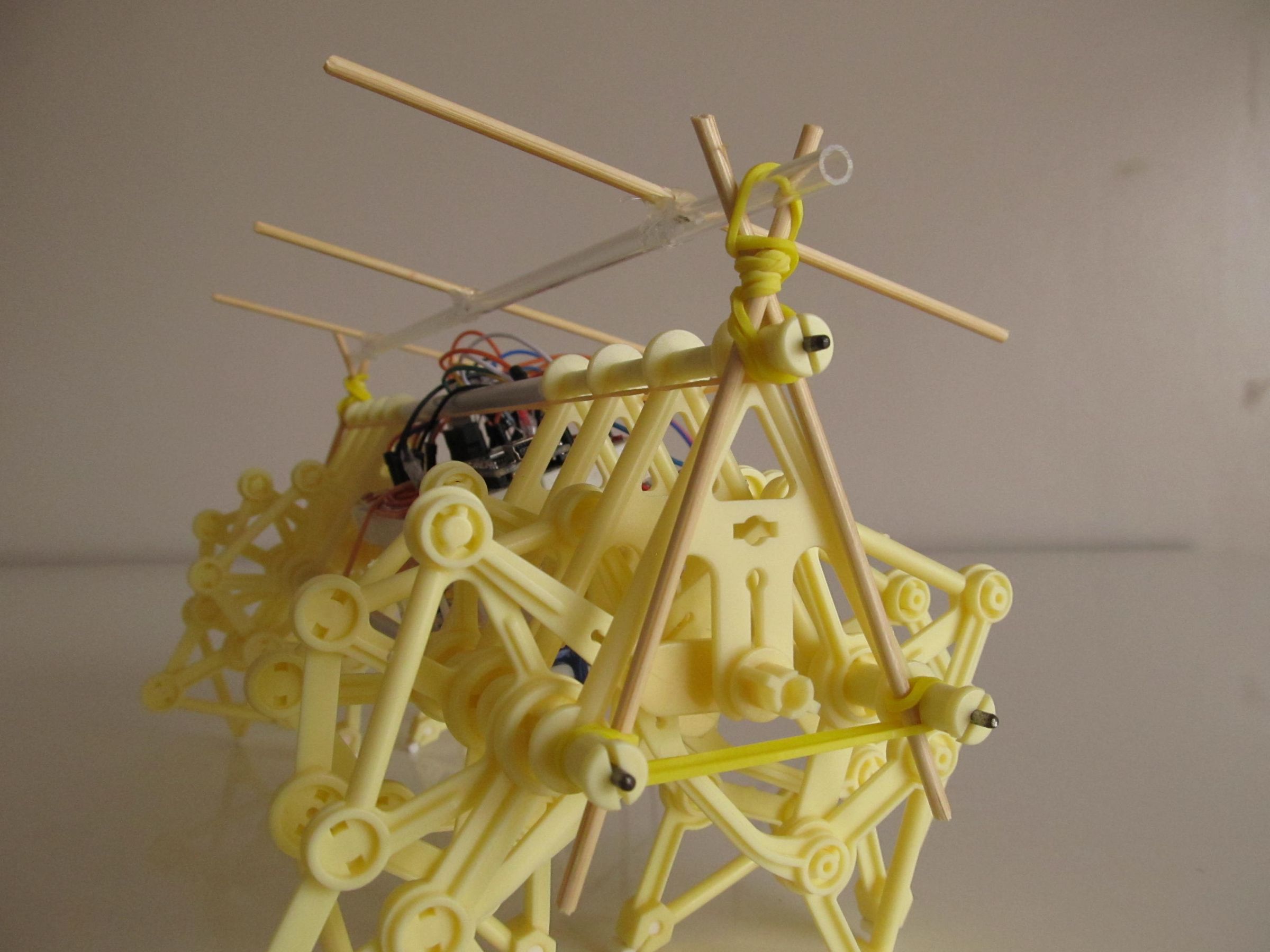 Training Theo Jansen's Mini STRANDBEEST : 11 Steps (with Pictures ...