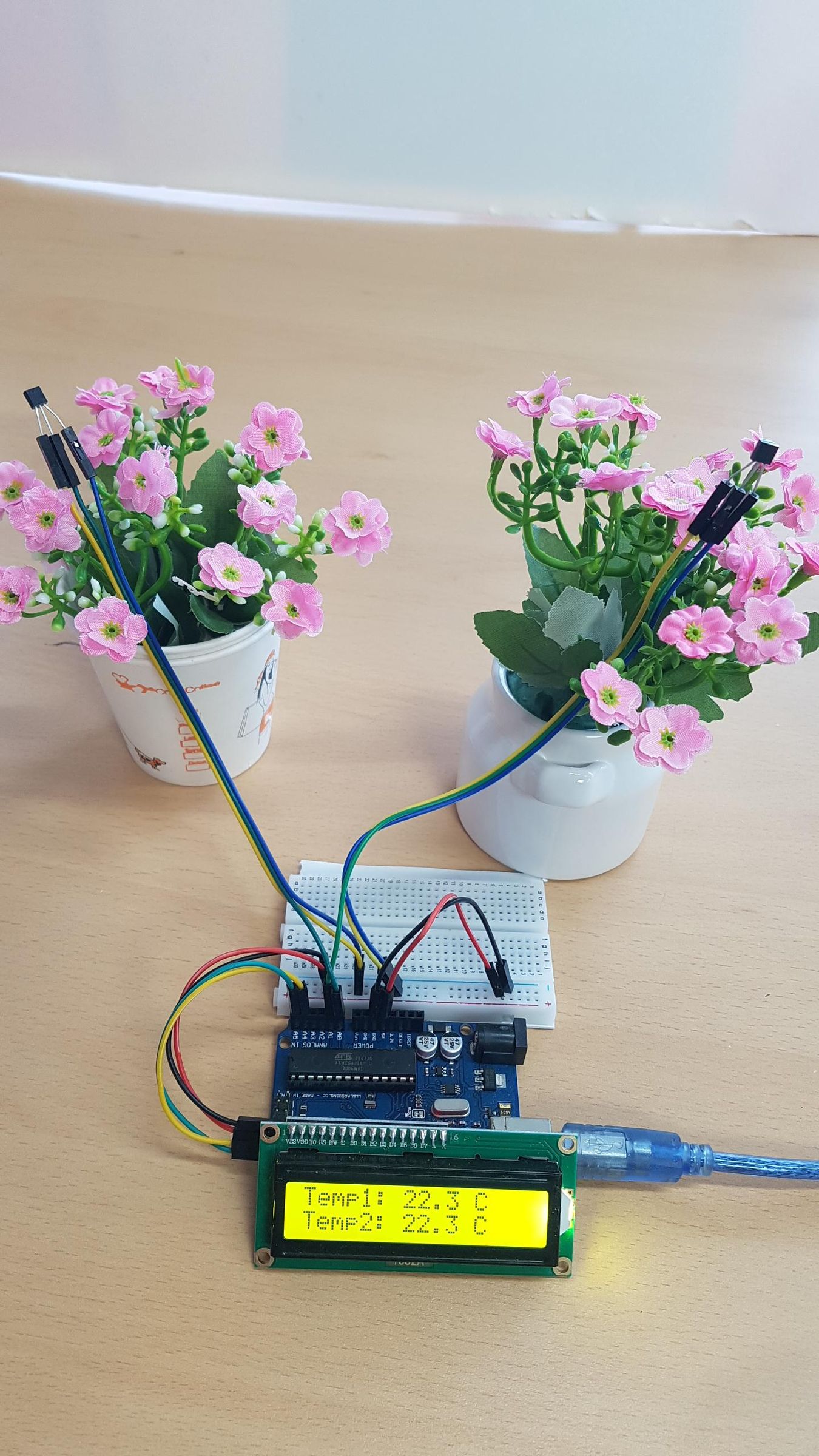 Two Tmp36 (Green House Effect LAB) : 3 Steps - Instructables