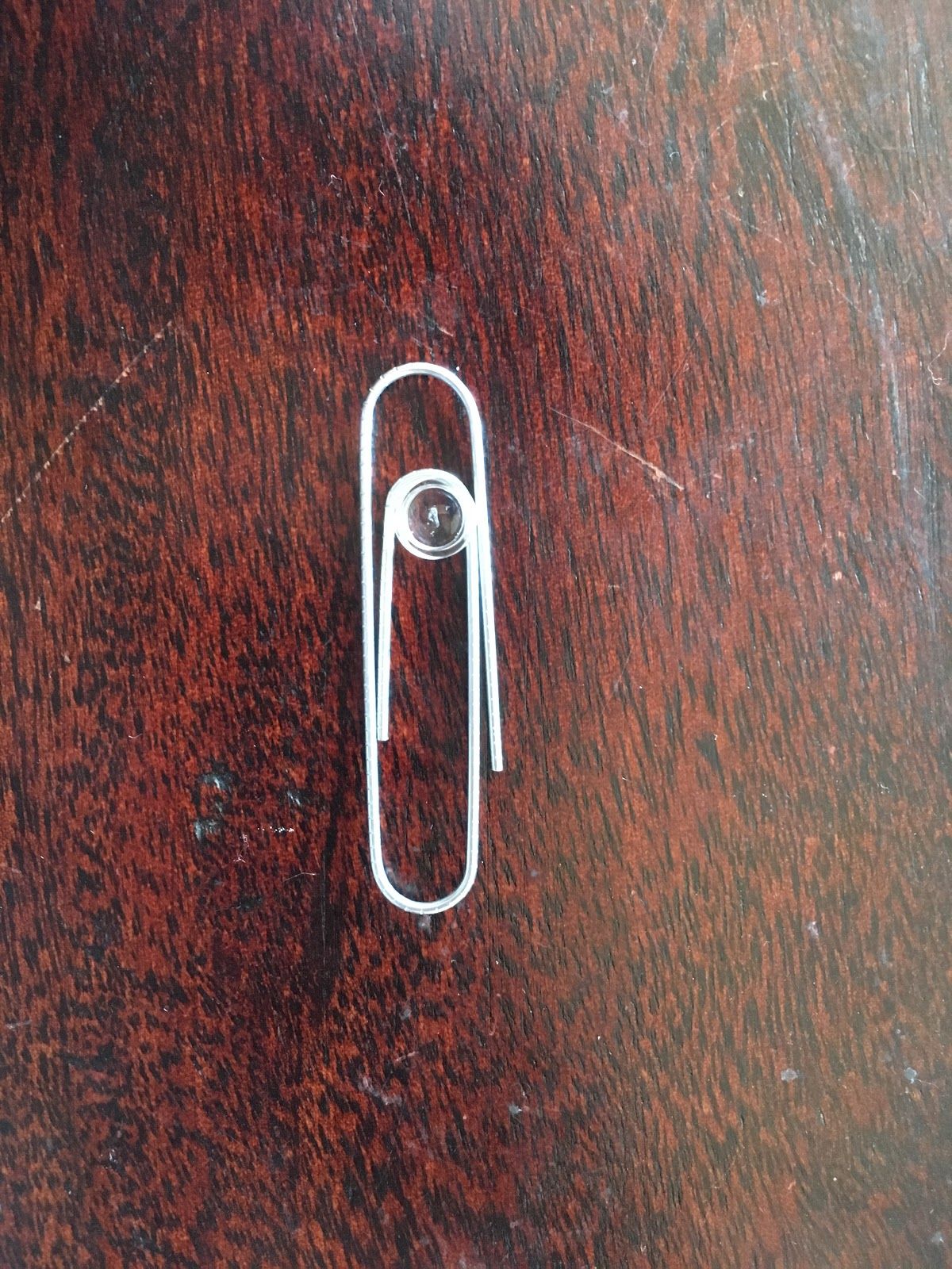 DIY IPhone Camera Microscope : 8 Steps (with Pictures) - Instructables