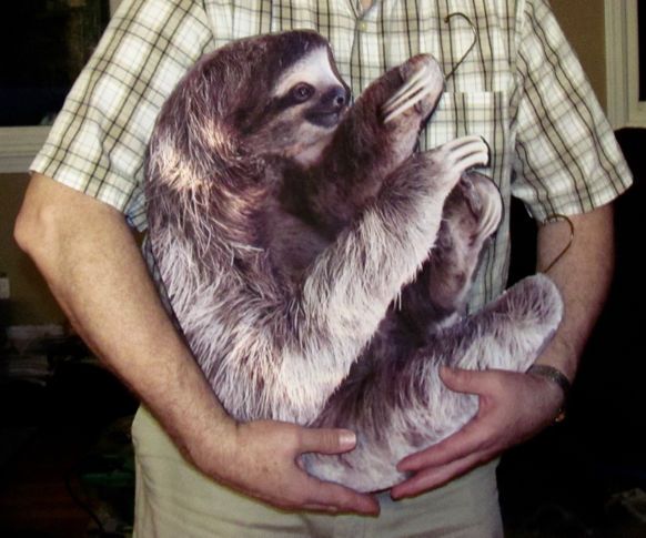 Saul the Sloth - 'Hanging Humor' : 12 Steps (with Pictures) - Instructables