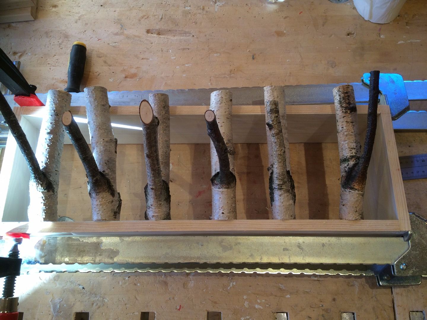 Make a Branch Shelf : 9 Steps (with Pictures) - Instructables