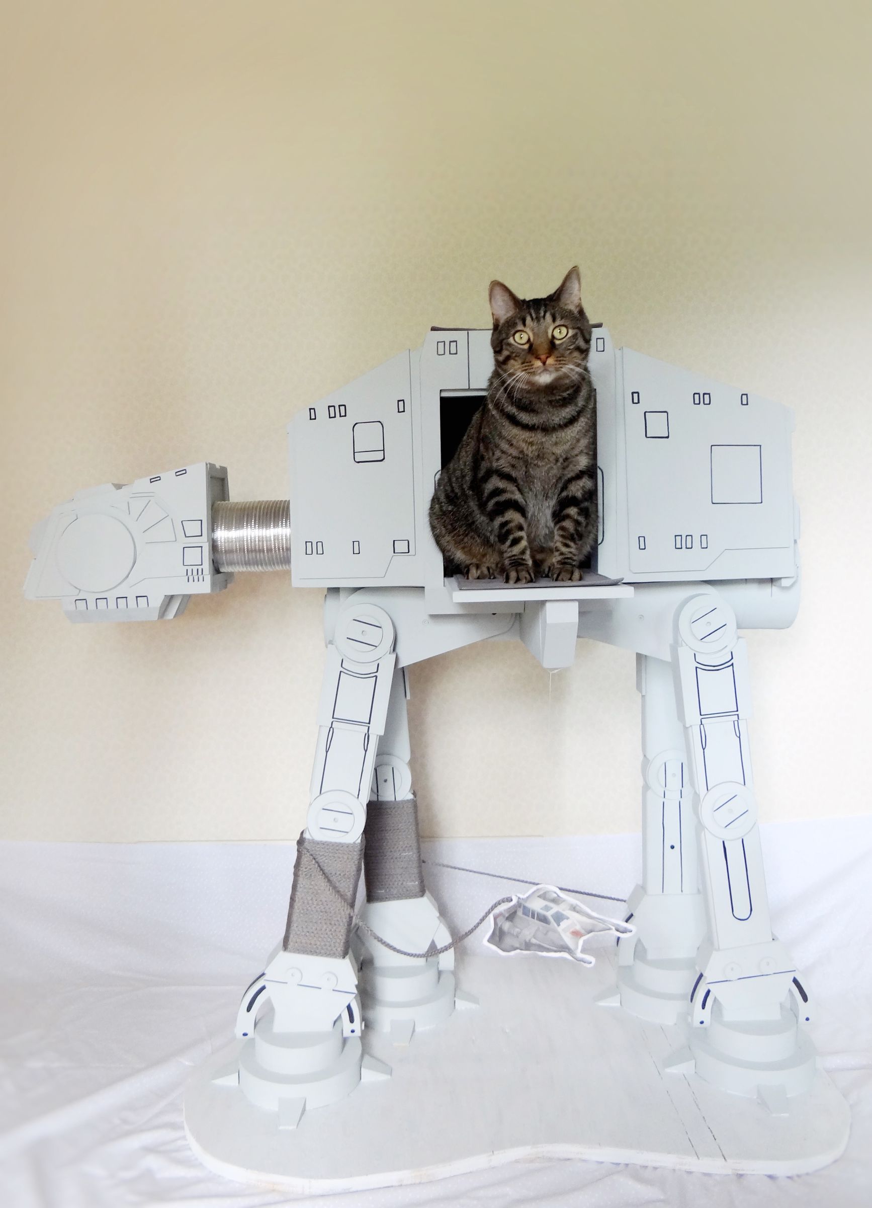 CAT-CAT : 13 Steps (with Pictures) - Instructables