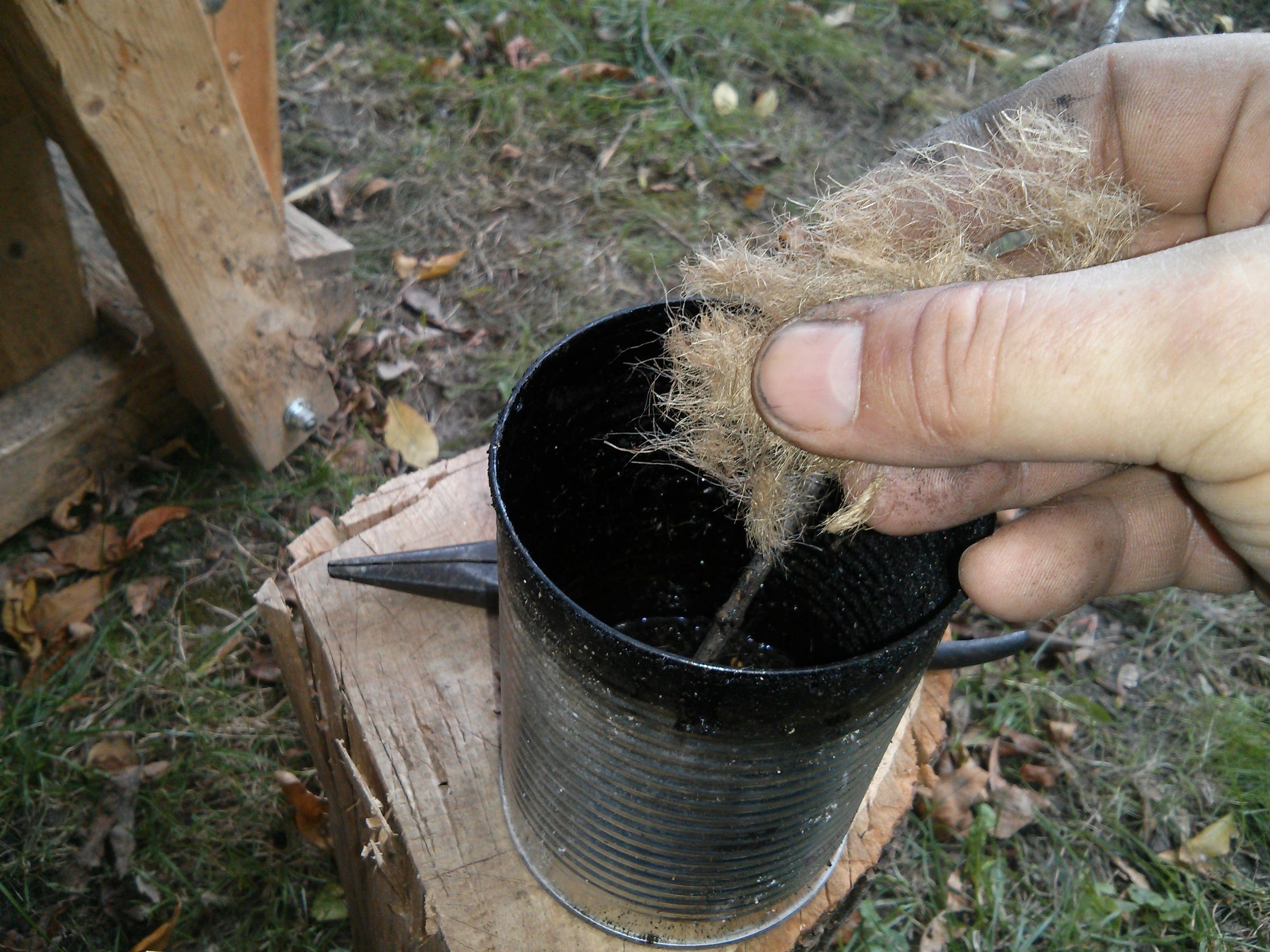 Birch Tar Resin for Paleo Crafts and Tool Making : 7 Steps (with ...