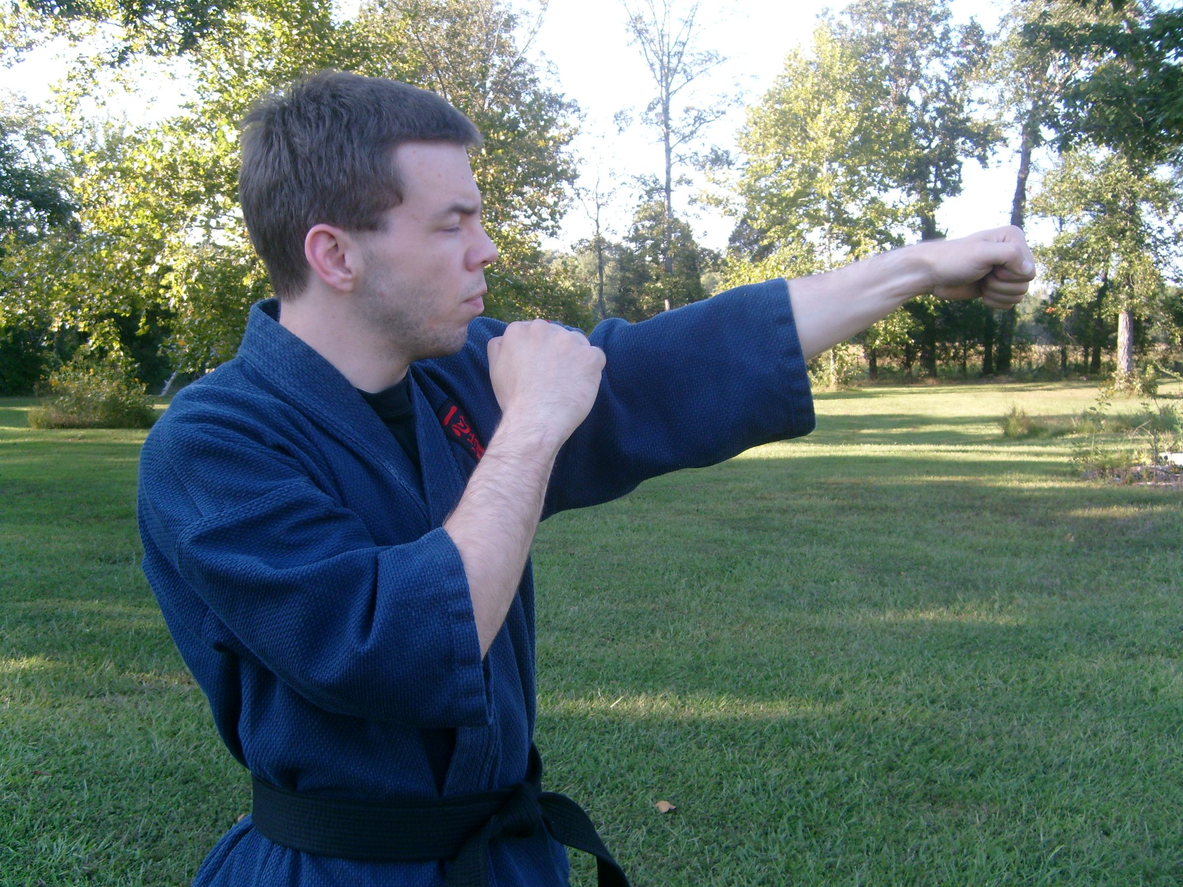 How to Throw a Punch : 6 Steps (with Pictures) - Instructables