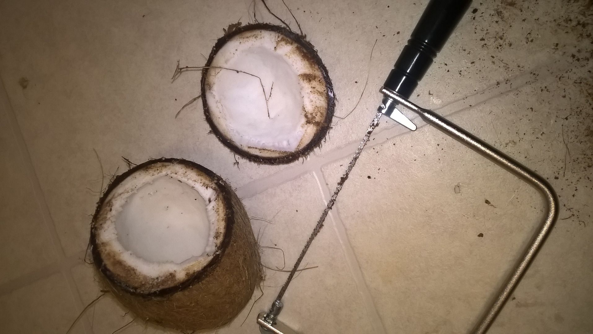 Coconut Amplifier : 6 Steps (with Pictures) - Instructables