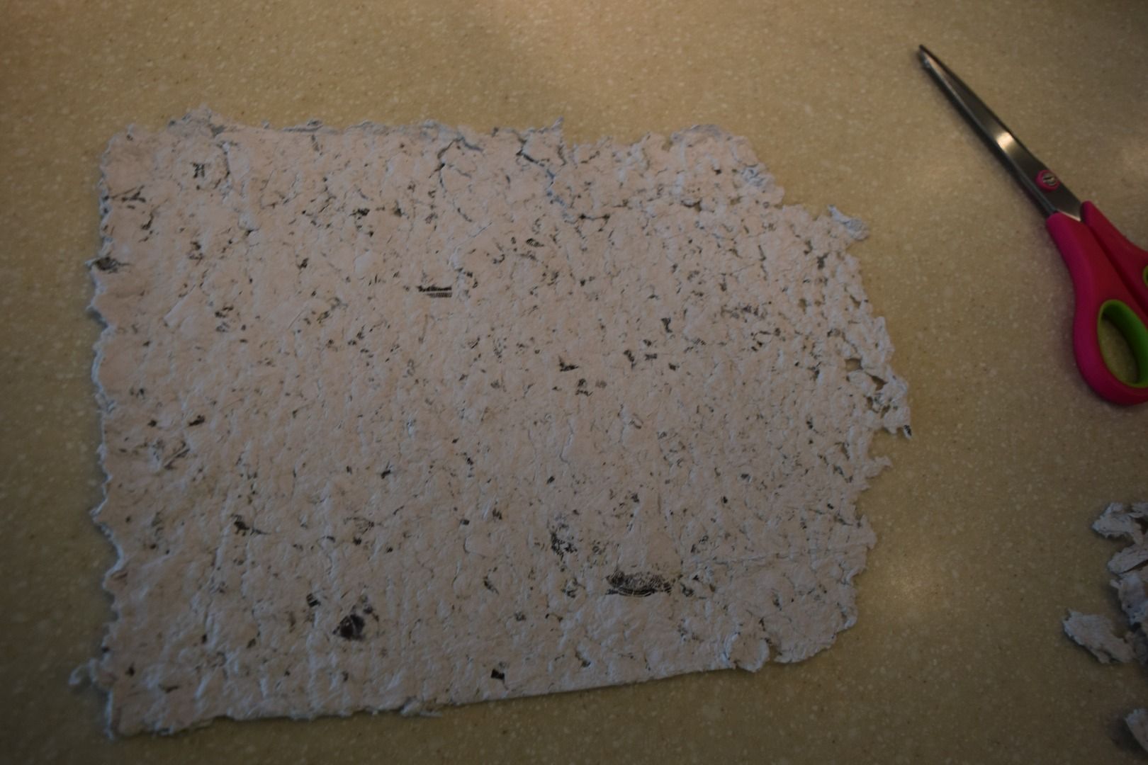 Recycled Paper : 7 Steps - Instructables