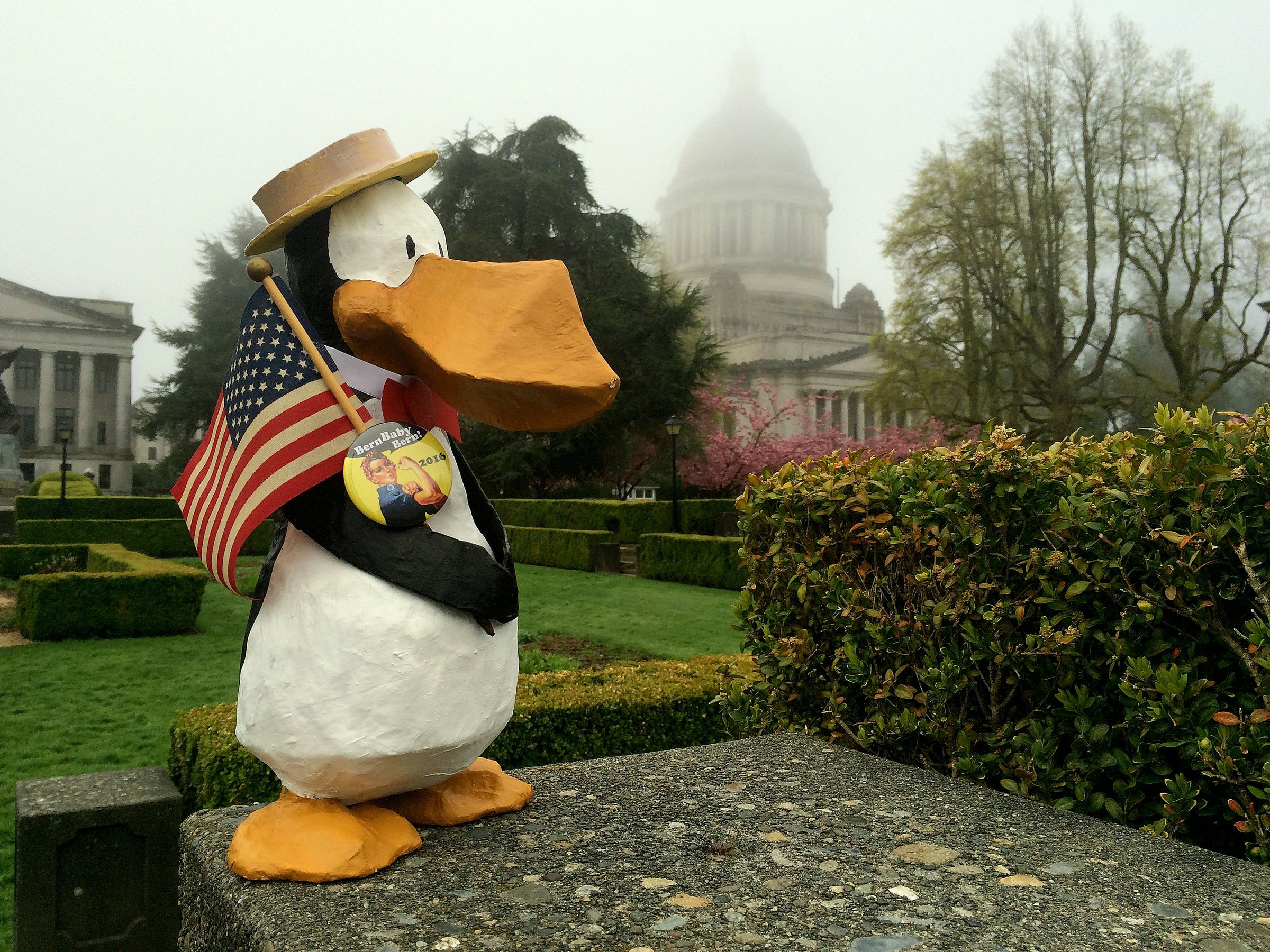 Opus the Penguin : 5 Steps (with Pictures) - Instructables