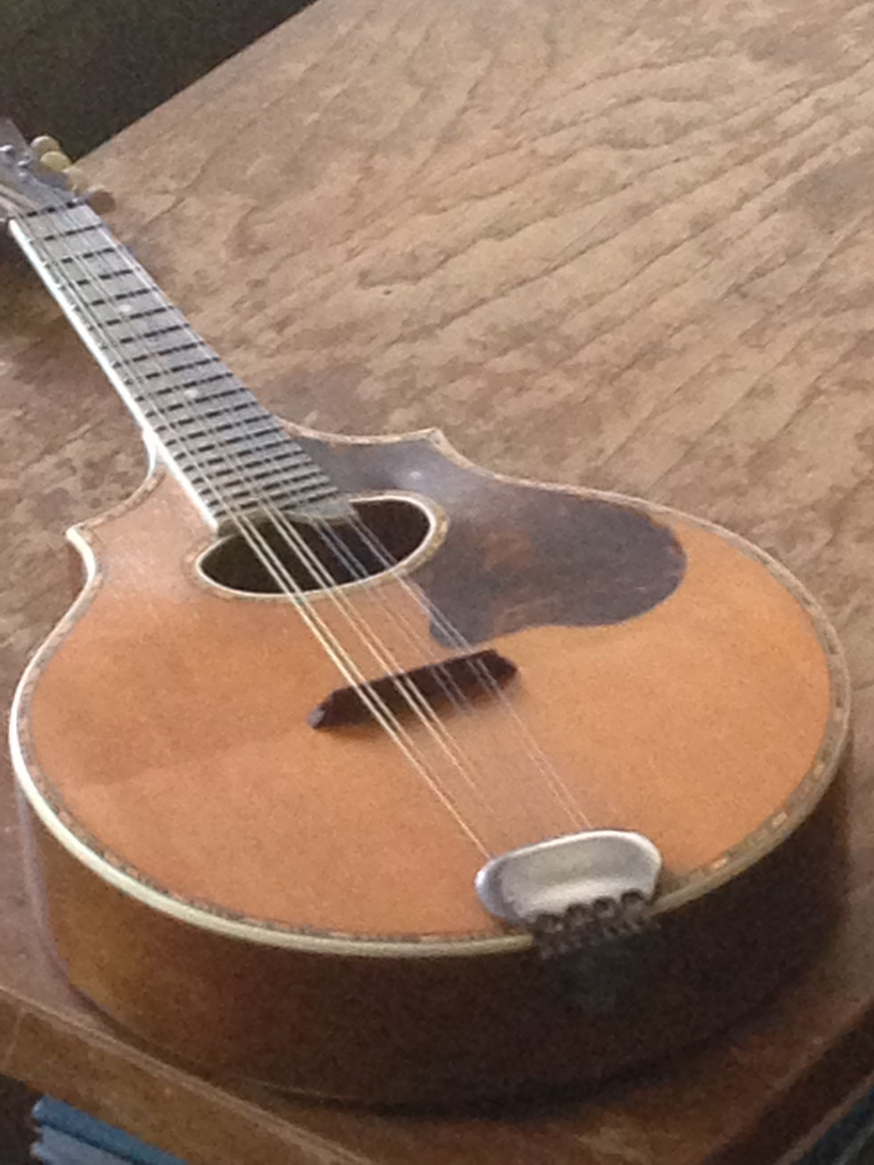 Re-build Stringed Instrument : 8 Steps (with Pictures) - Instructables