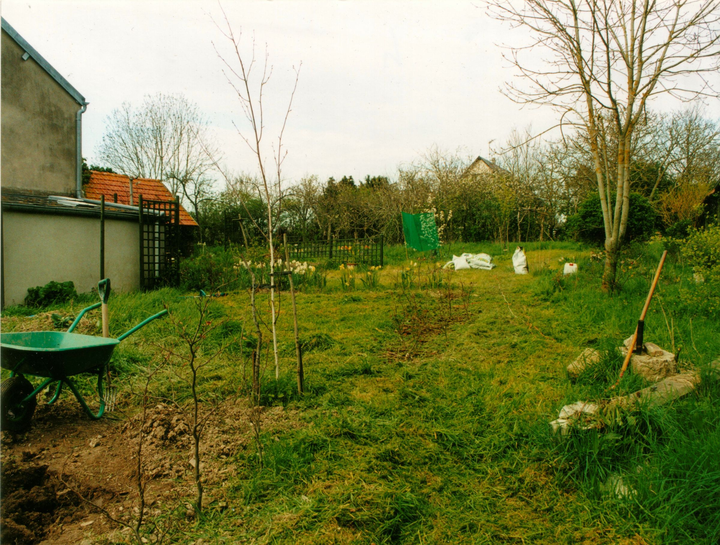 Edible Hedges - Getting the Most Out of Your Plot With Tree Fodder and ...
