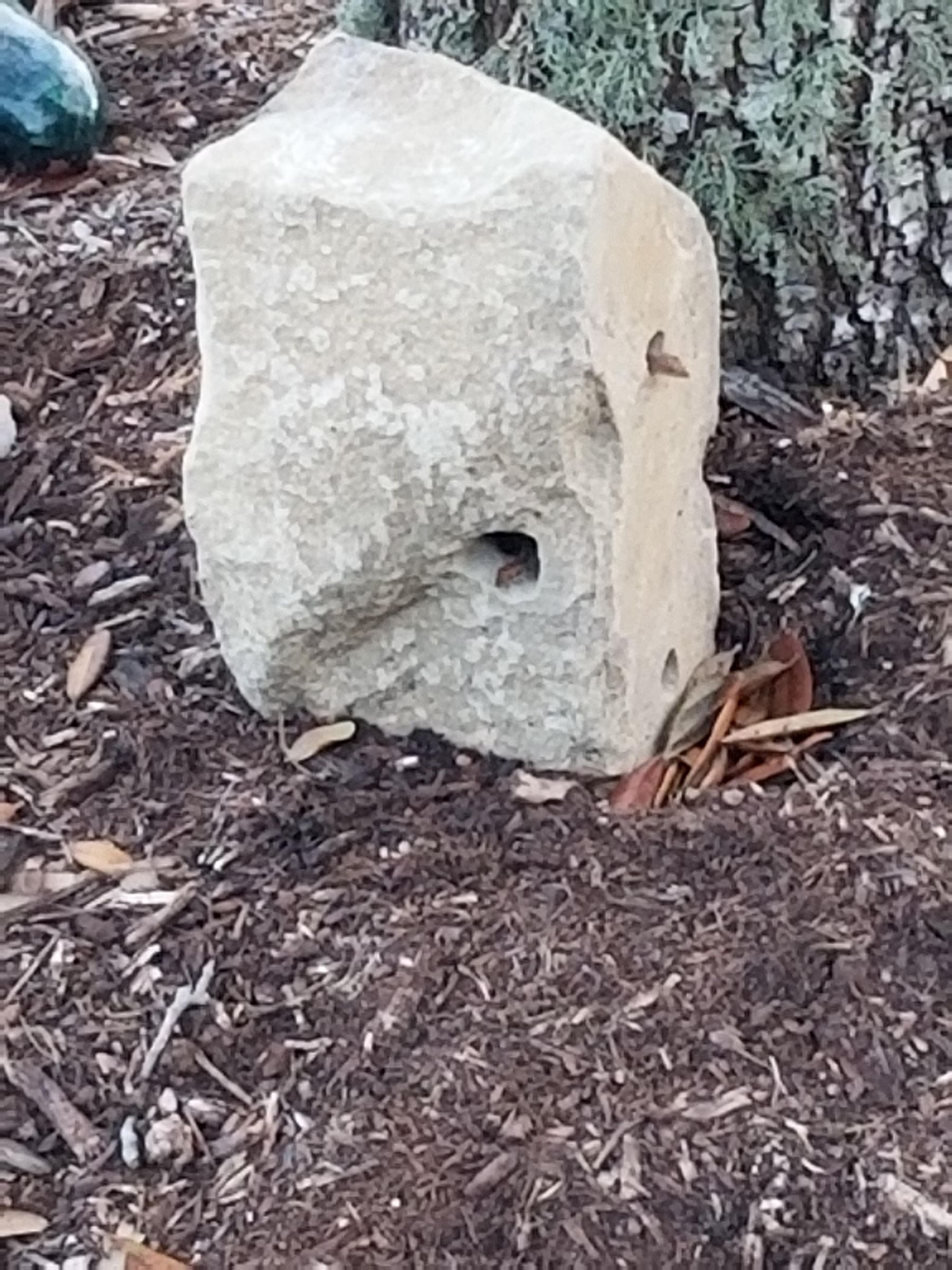 Build a Backyard Lizard Condo : 3 Steps (with Pictures) - Instructables