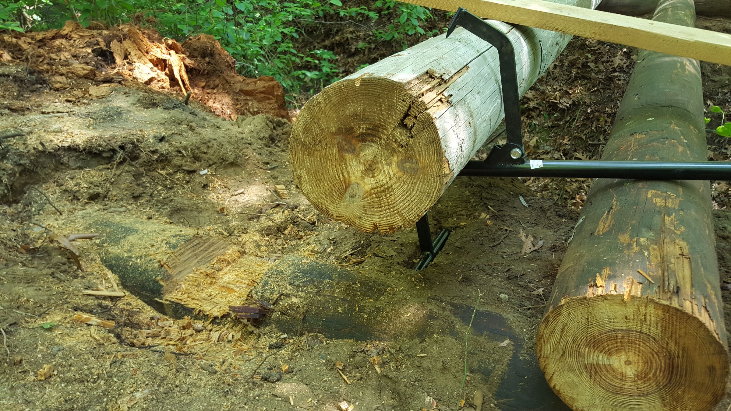 Nature Trail and ATV Bridge : 6 Steps (with Pictures) - Instructables