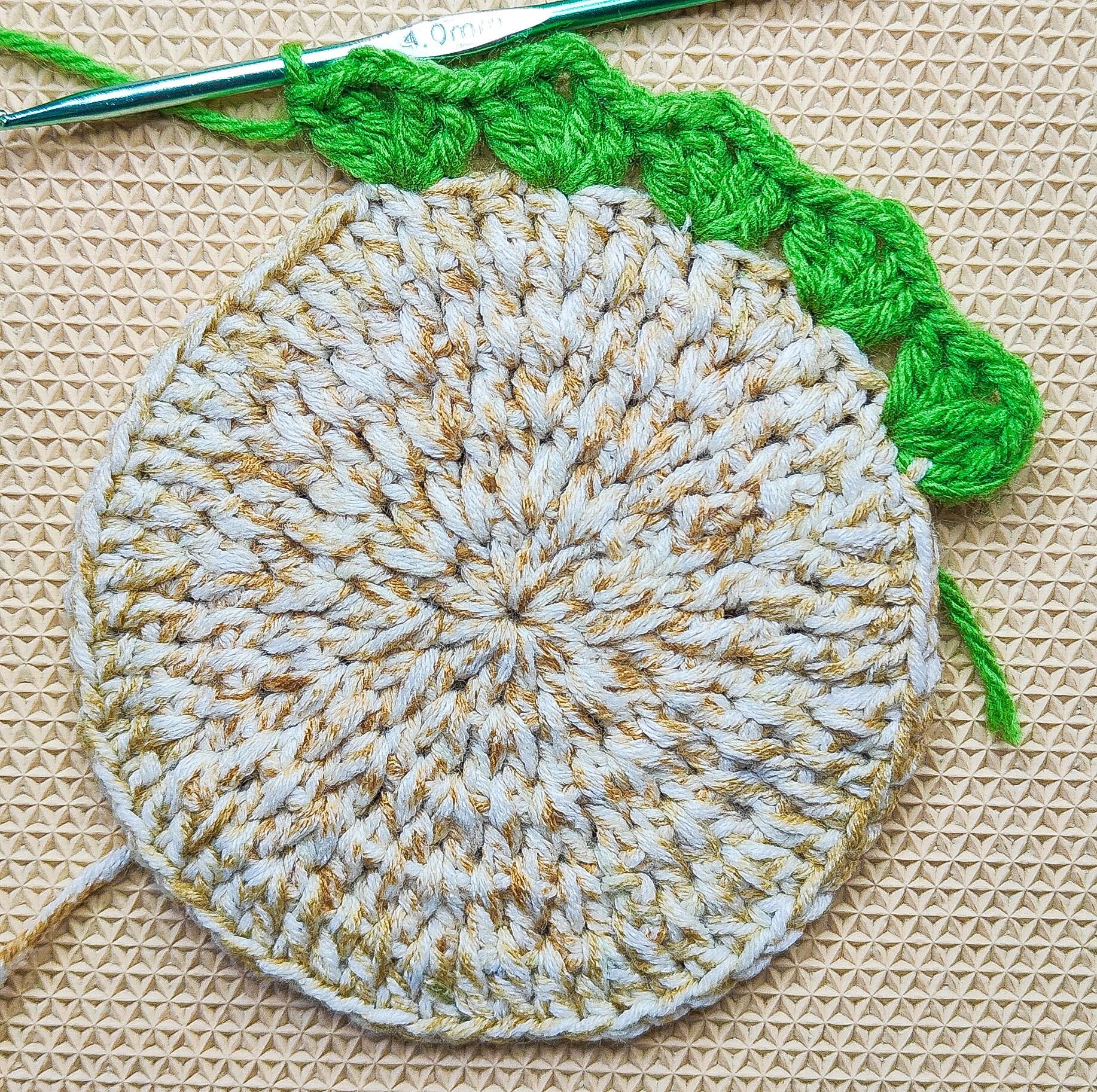 How to Make a Easy Sea Grass Crochet Coaster : 7 Steps (with Pictures ...