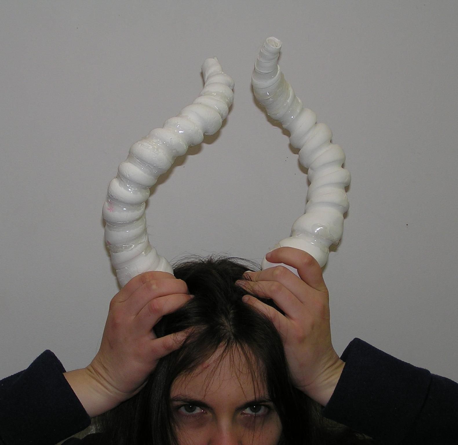 Easy Hollow Horns : 11 Steps (with Pictures) - Instructables