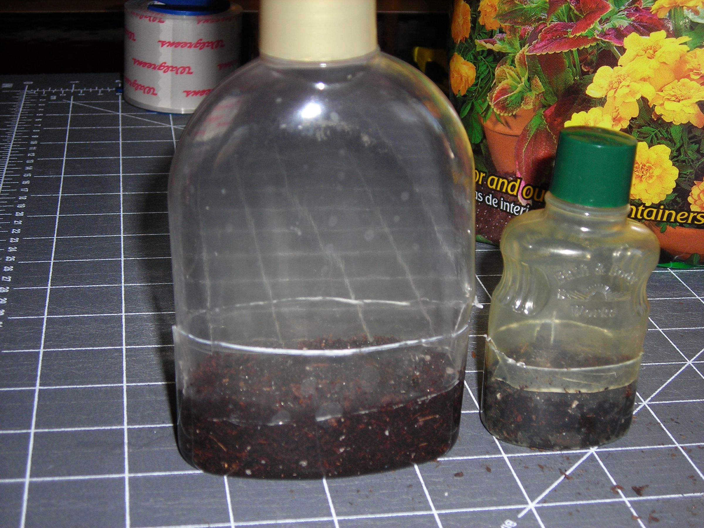 Seed Starter : 11 Steps - Instructables