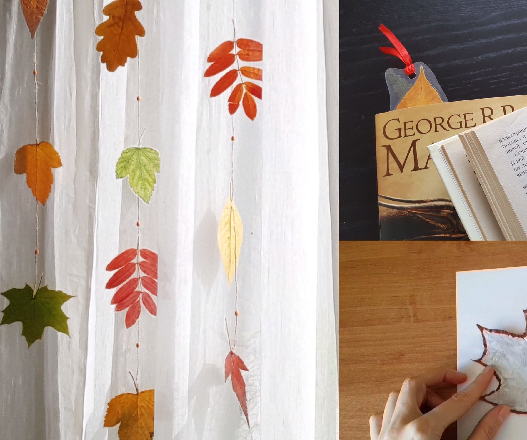 Laminated Leaves for Fall Crafts. No Laminator Needed : 5 Steps (with ...