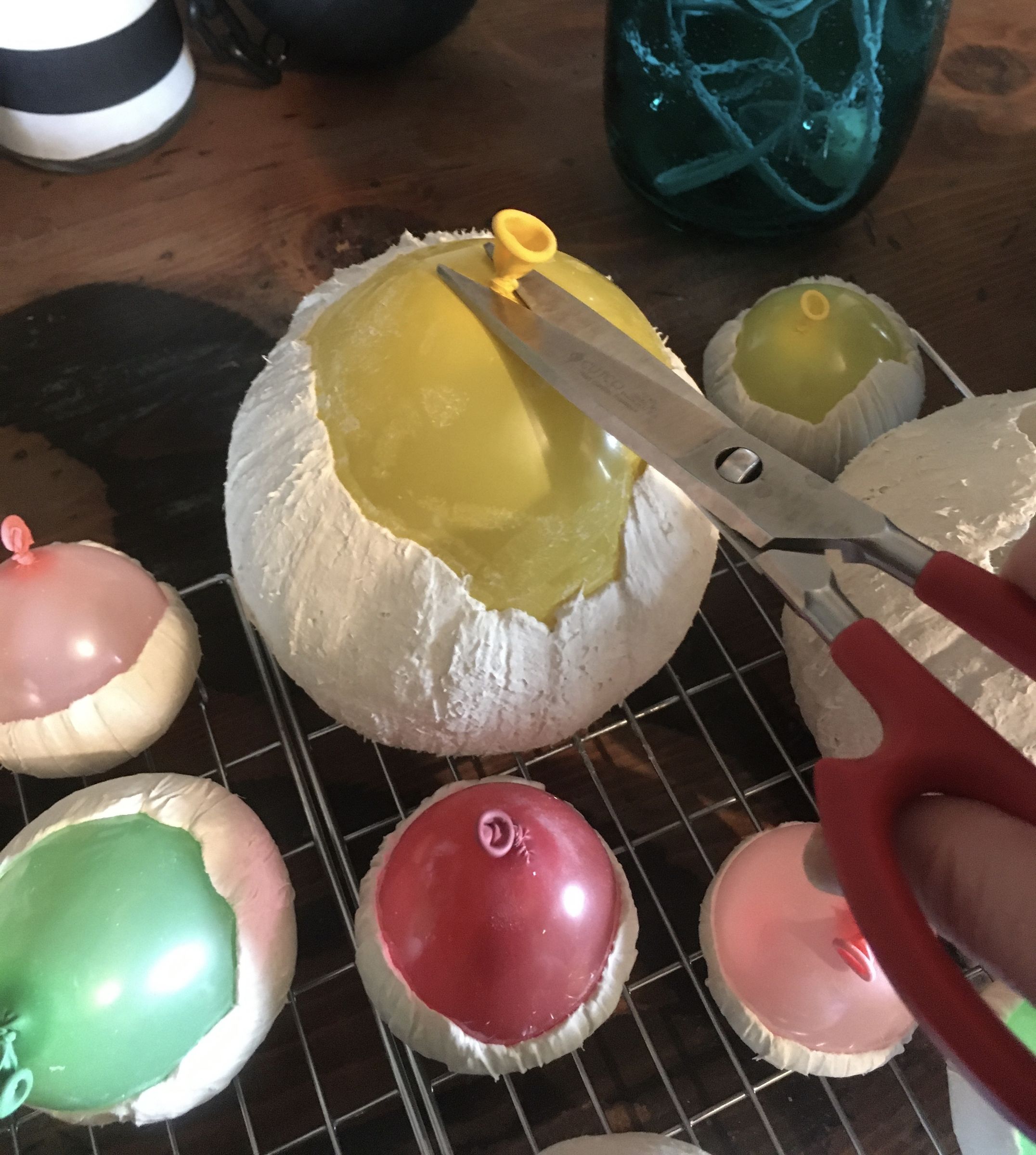 Barnacle Sculptures--and an Experiment With 2 Kinds of Homemade Paper ...