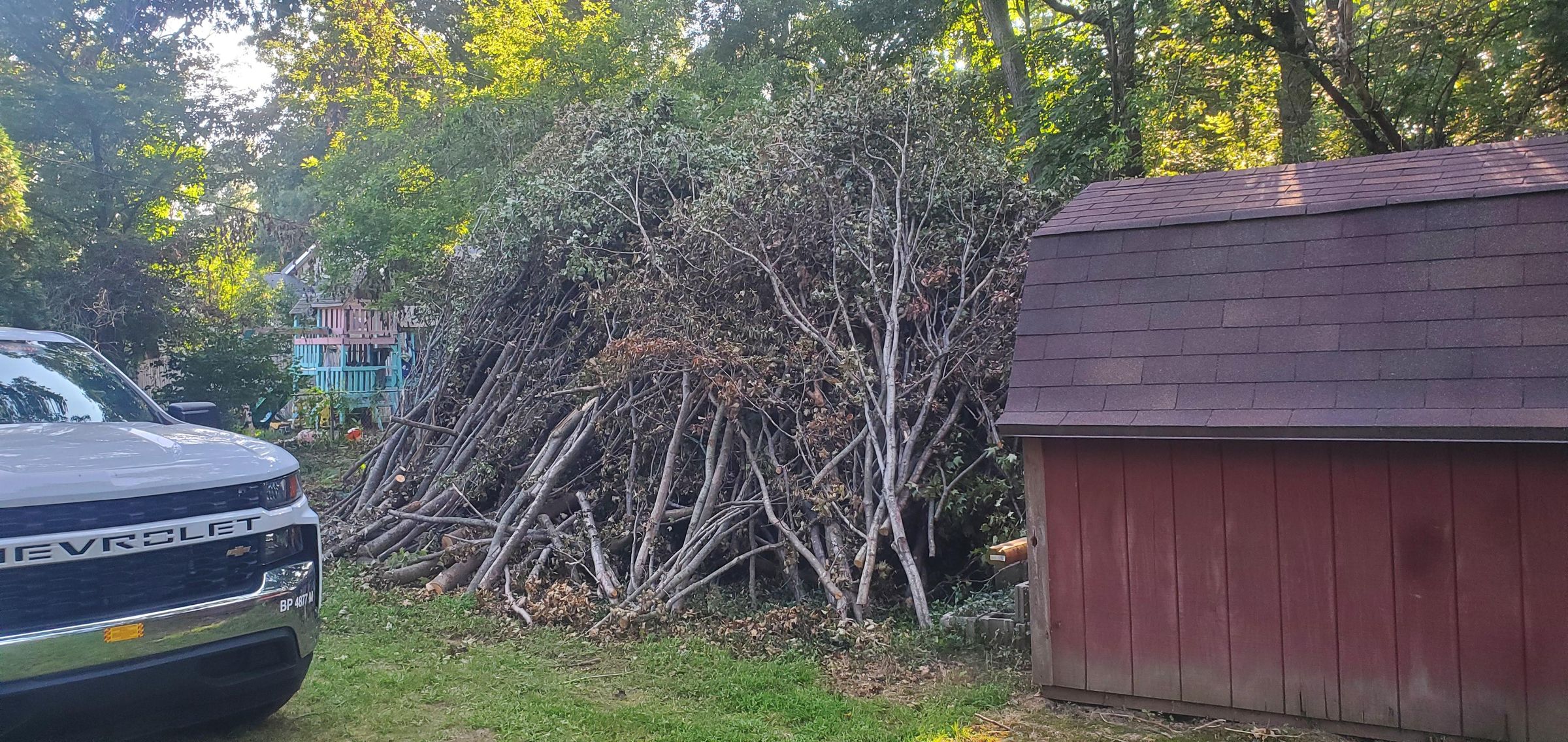 Make Hard Wood Floors From a Tree : 10 Steps (with Pictures ...