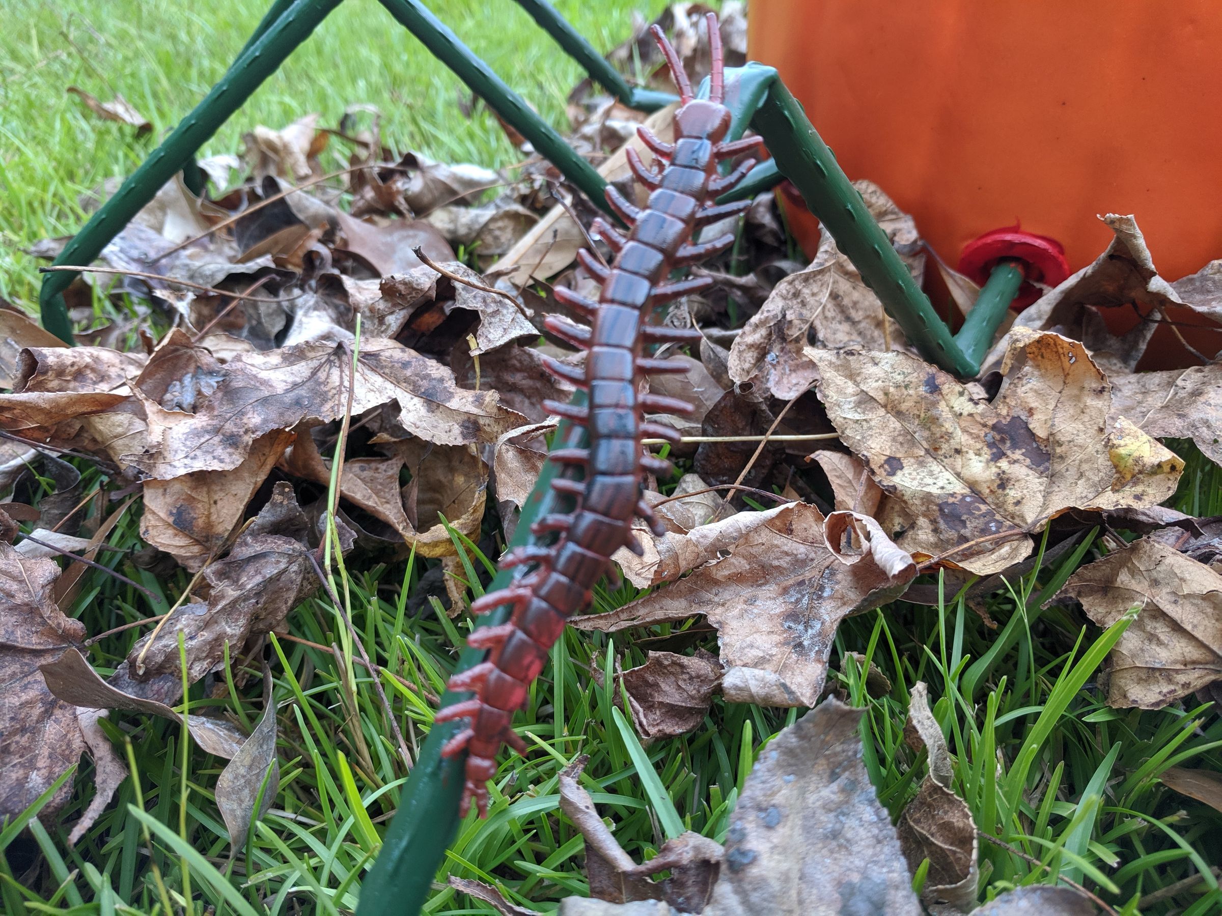 Animated Pumpkin With Motion Sensor : 9 Steps (with Pictures ...