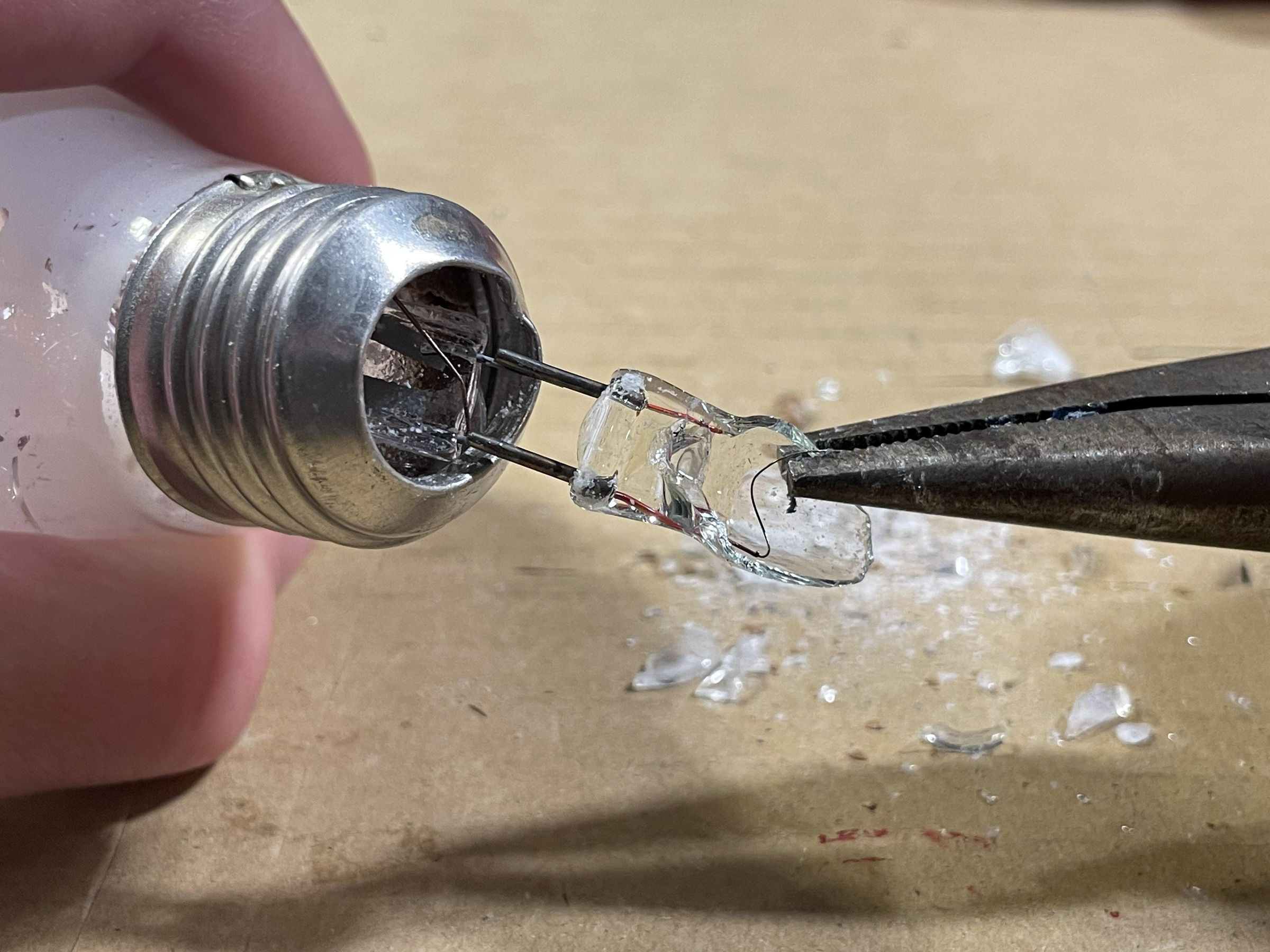 Eco-Friendly Lightbulb Planter: From Filament to Foliage : 15 Steps ...