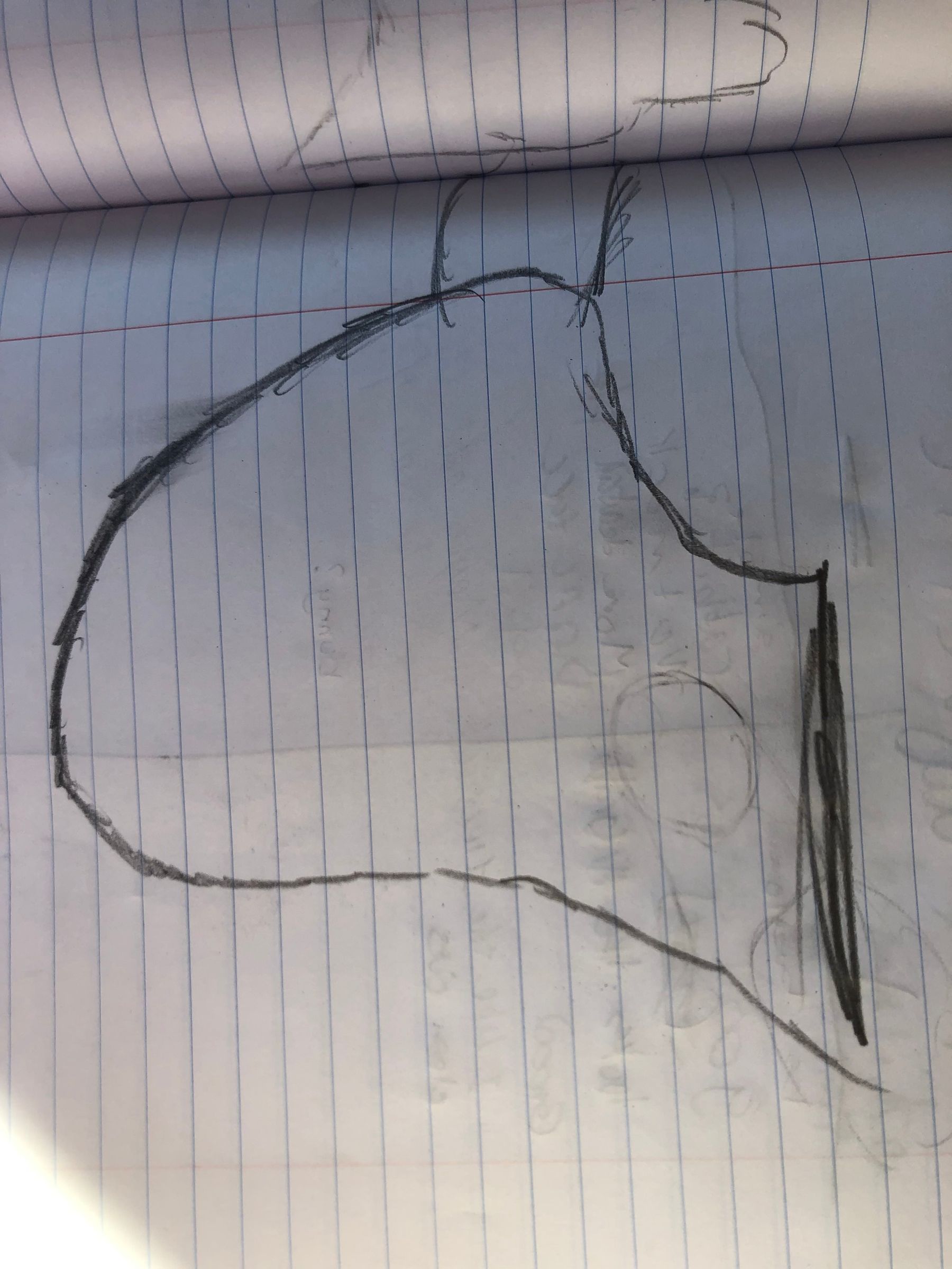 Cardboard Rabbit : 11 Steps - Instructables