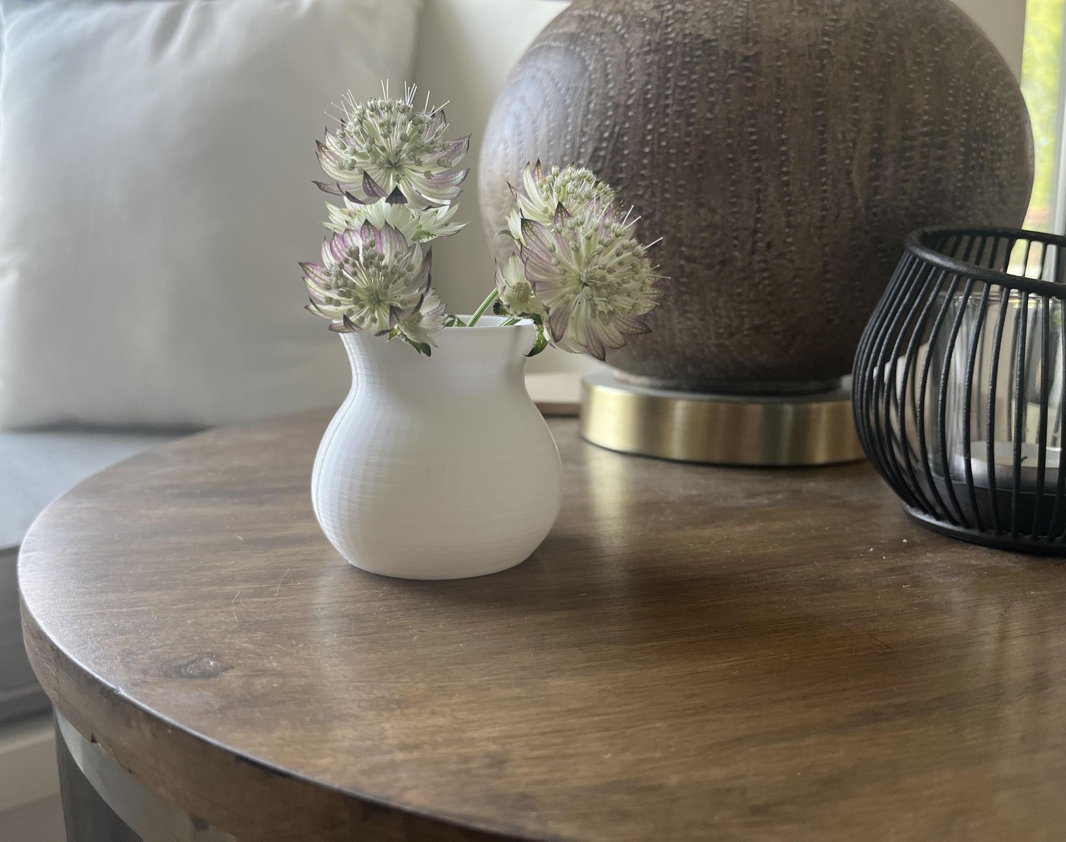 Design and 3D Print Your Own Flower Vase! : 14 Steps (with Pictures ...