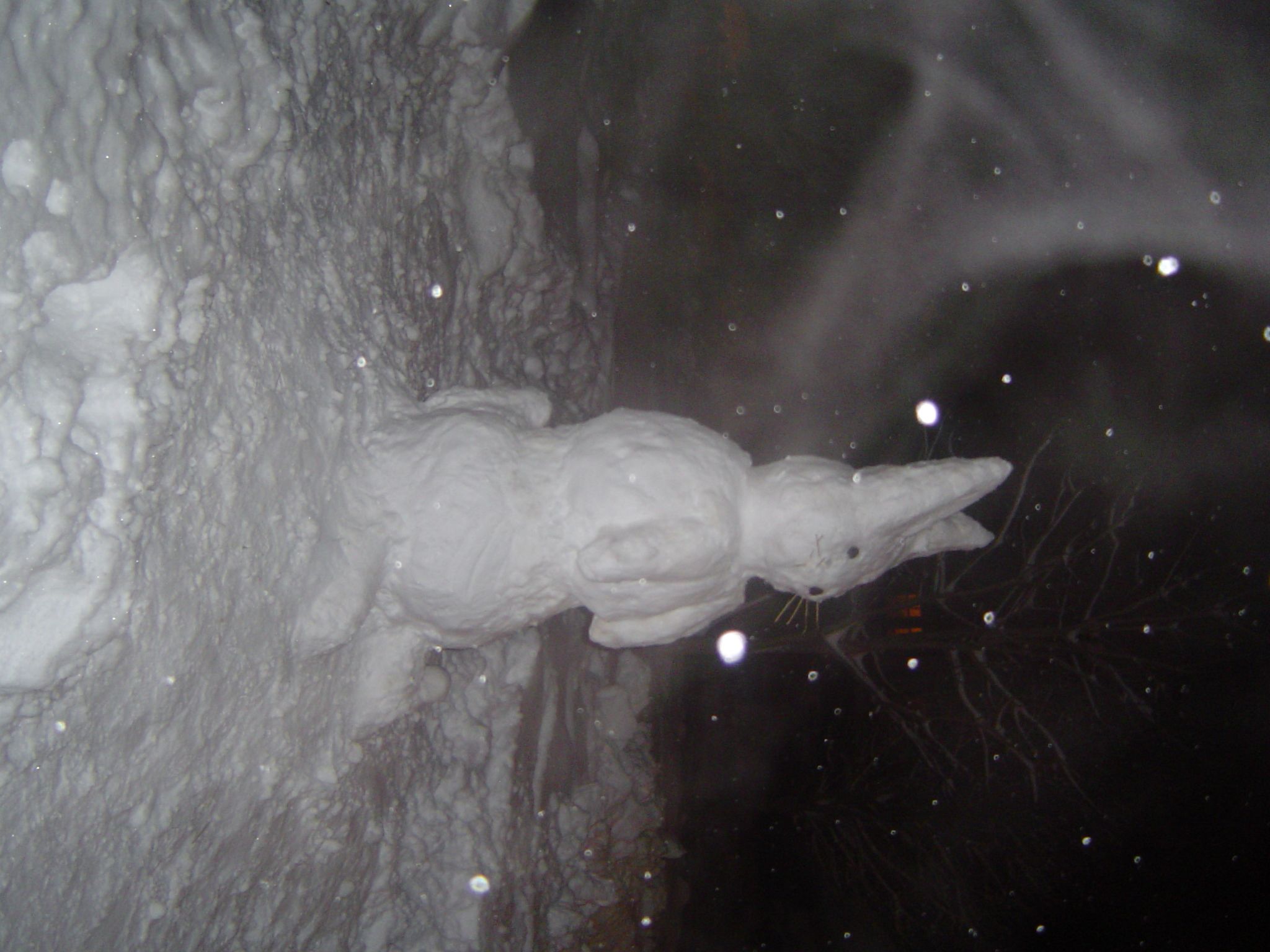Snow Rabbit! - Instructables