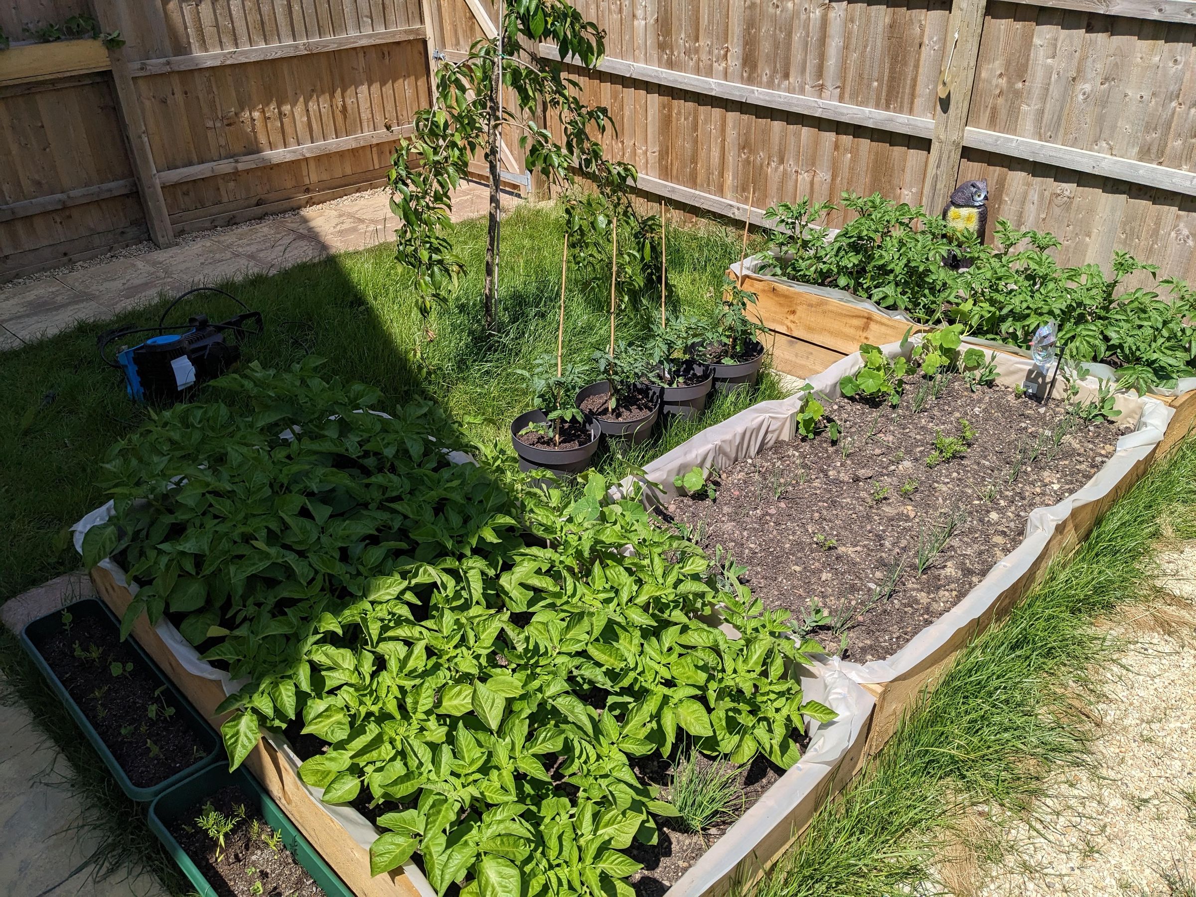 Creating a Beautiful Tiered Garden From a Boring New Build Slope : 8 ...