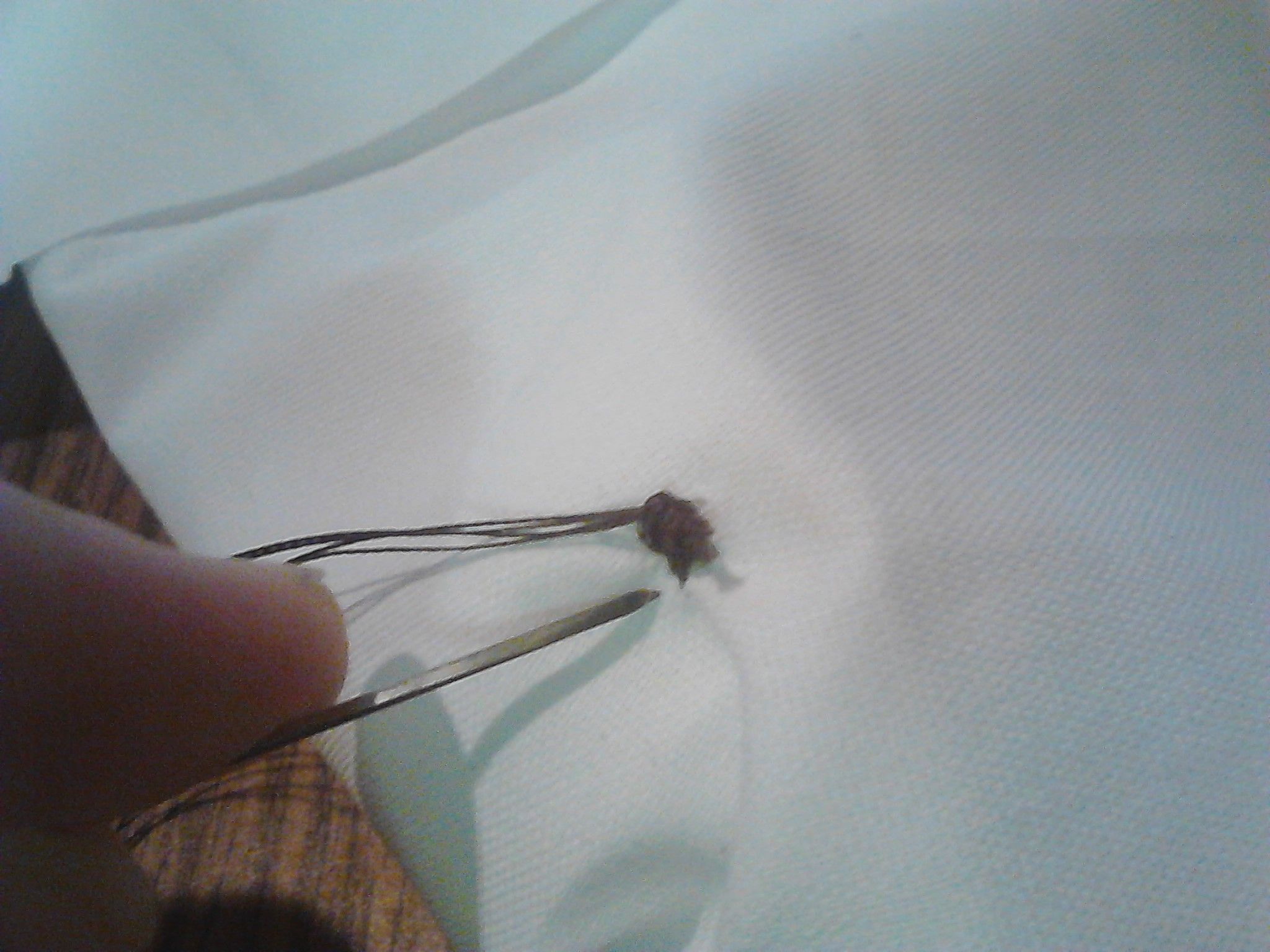 How to Professionally Sew on a Button by Hand : 14 Steps - Instructables