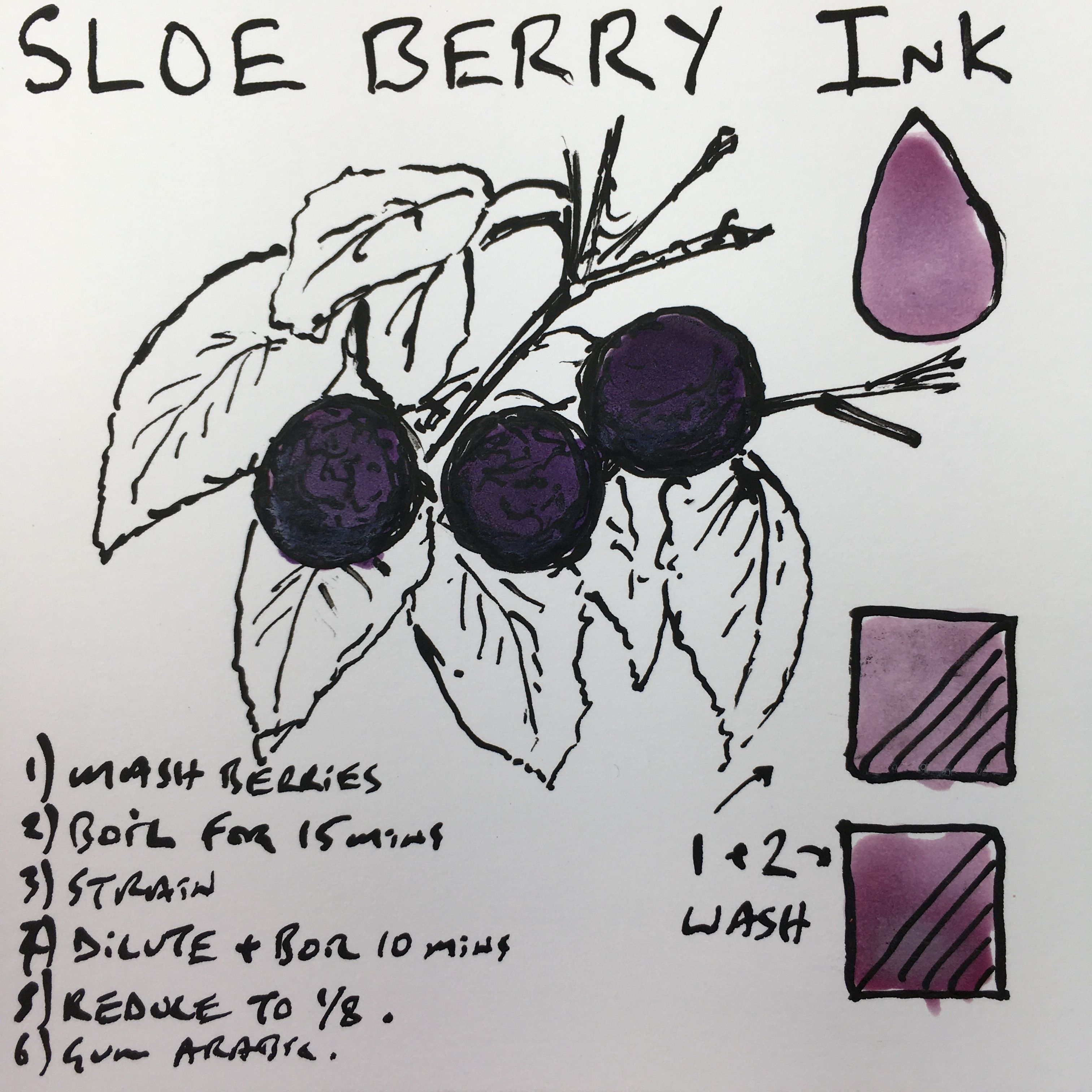 Home Made Ink From Nature: Perfect Purples : 18 Steps (with Pictures ...