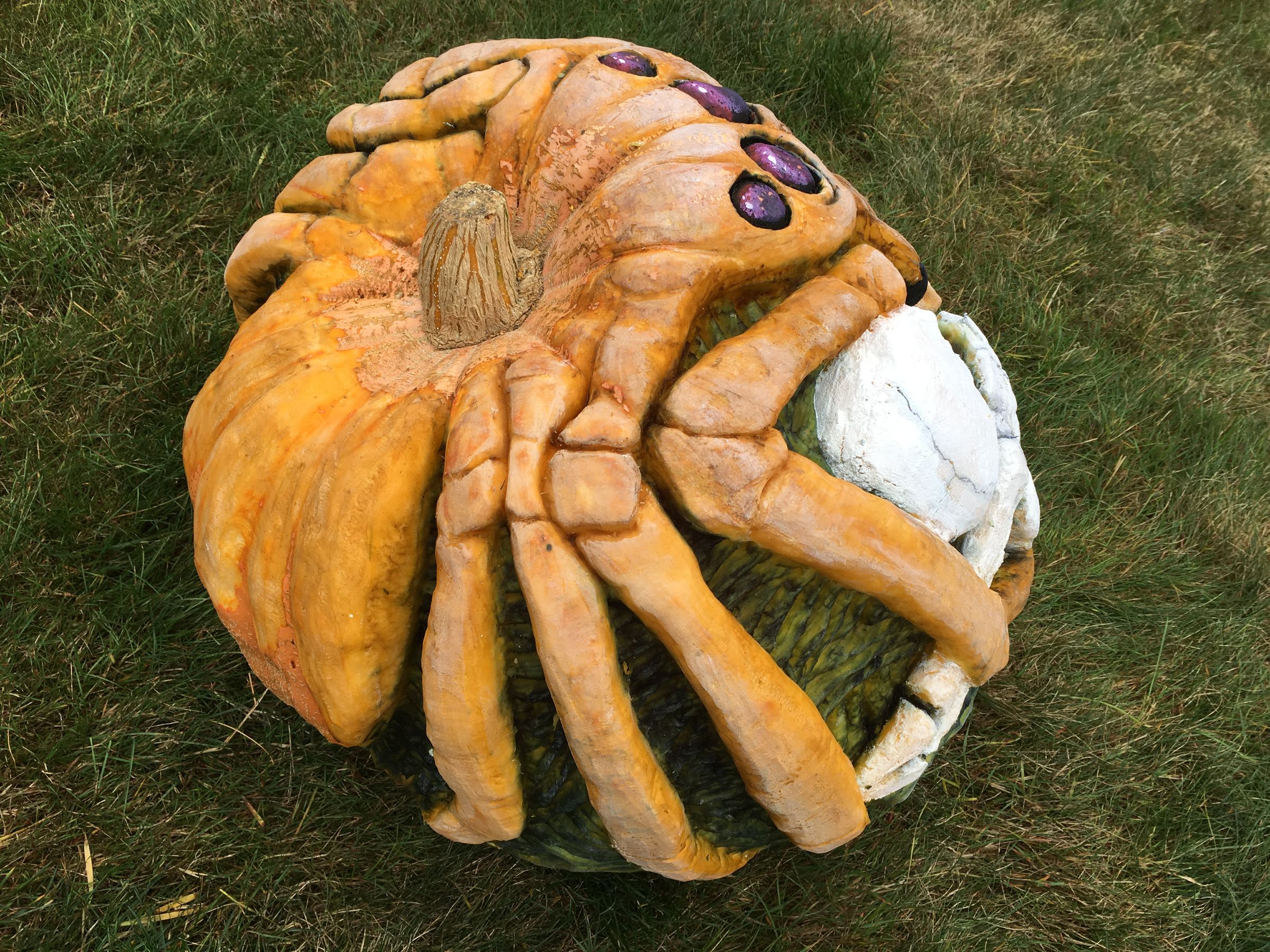 Giant Spider Pumpkin Carving : 3 Steps (with Pictures) - Instructables