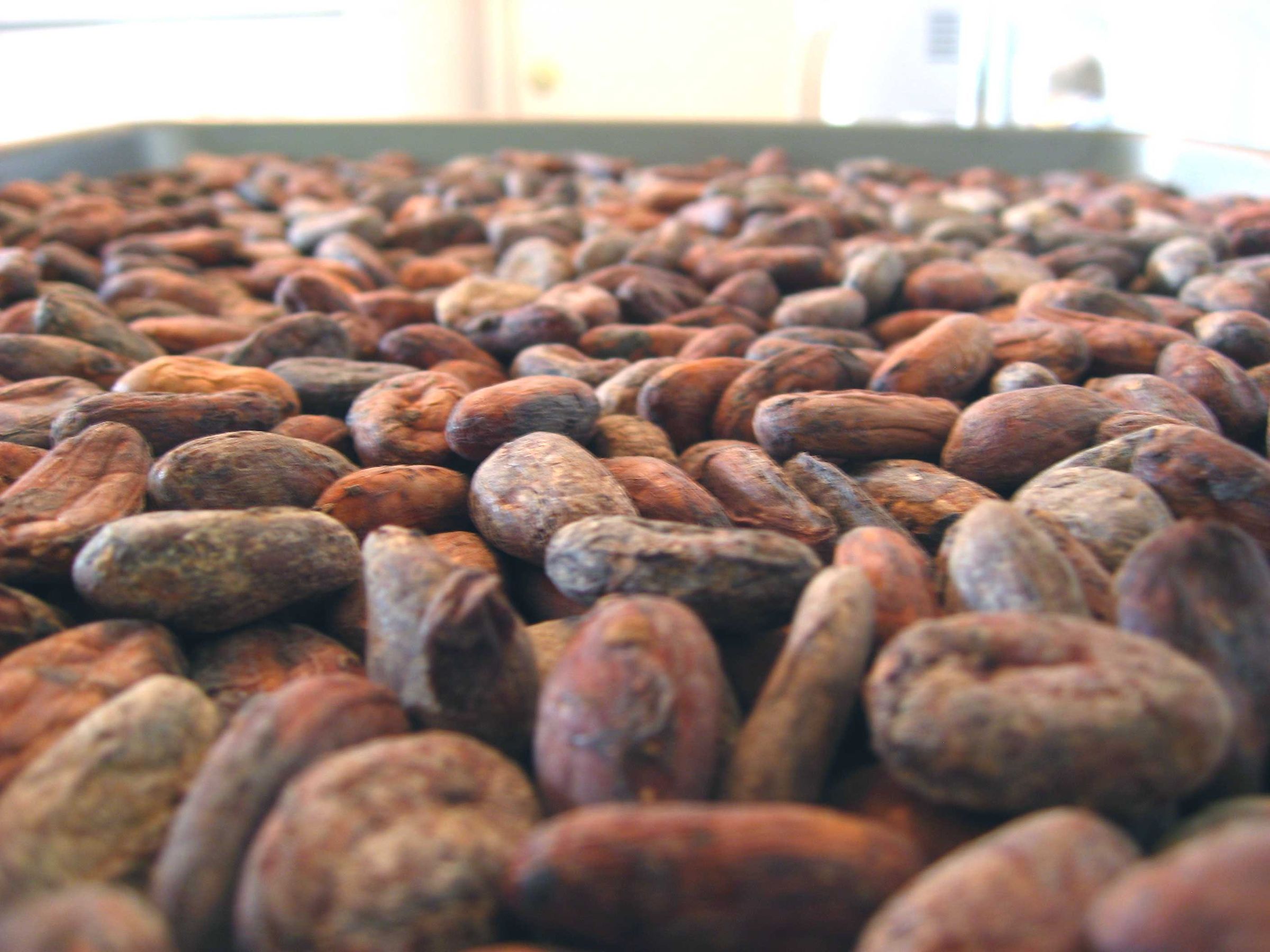 From Bean to Bar: Dark Chocolate From Scratch : 5 Steps (with Pictures ...